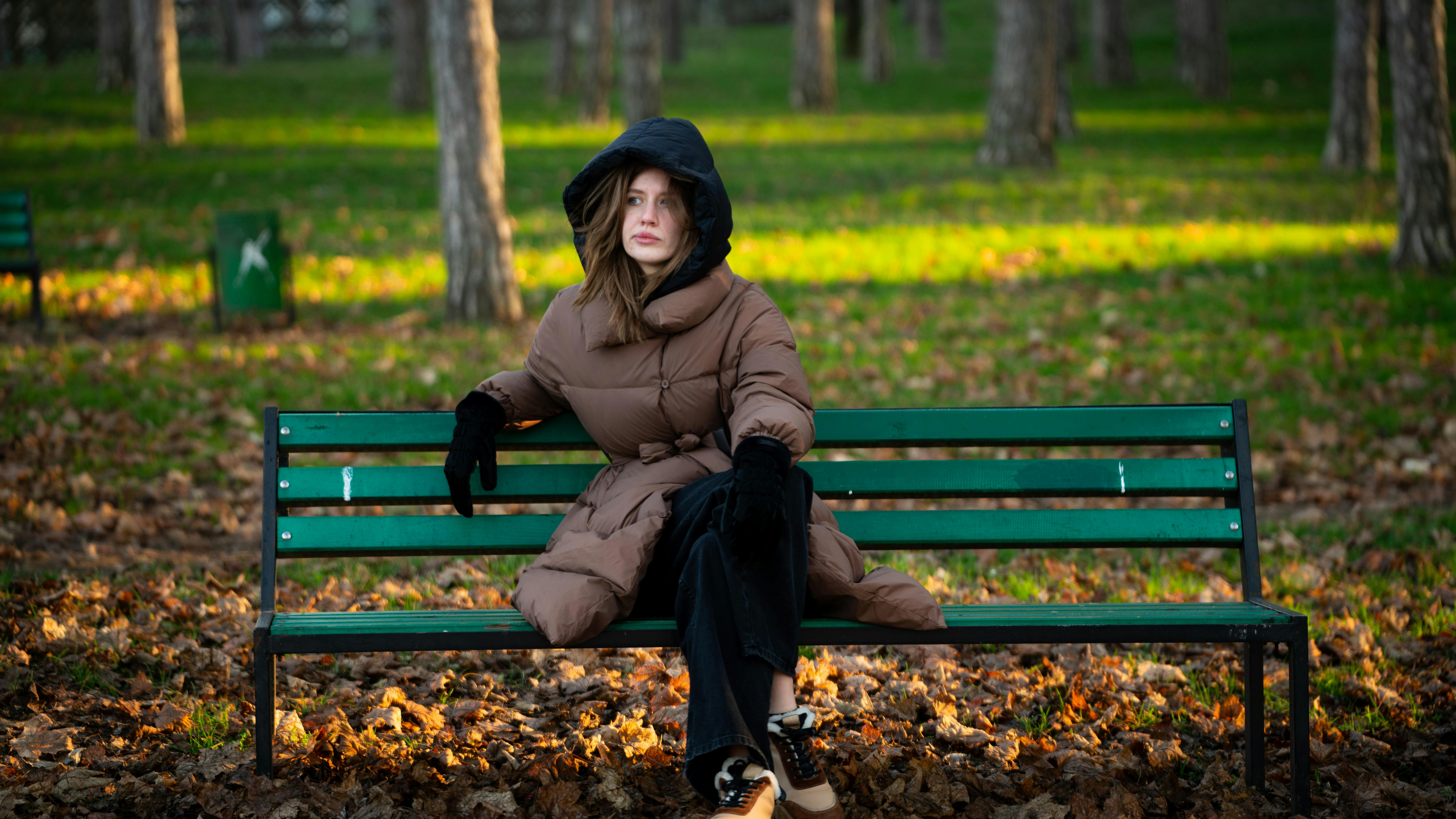 Winter Silence on a Park Bench
