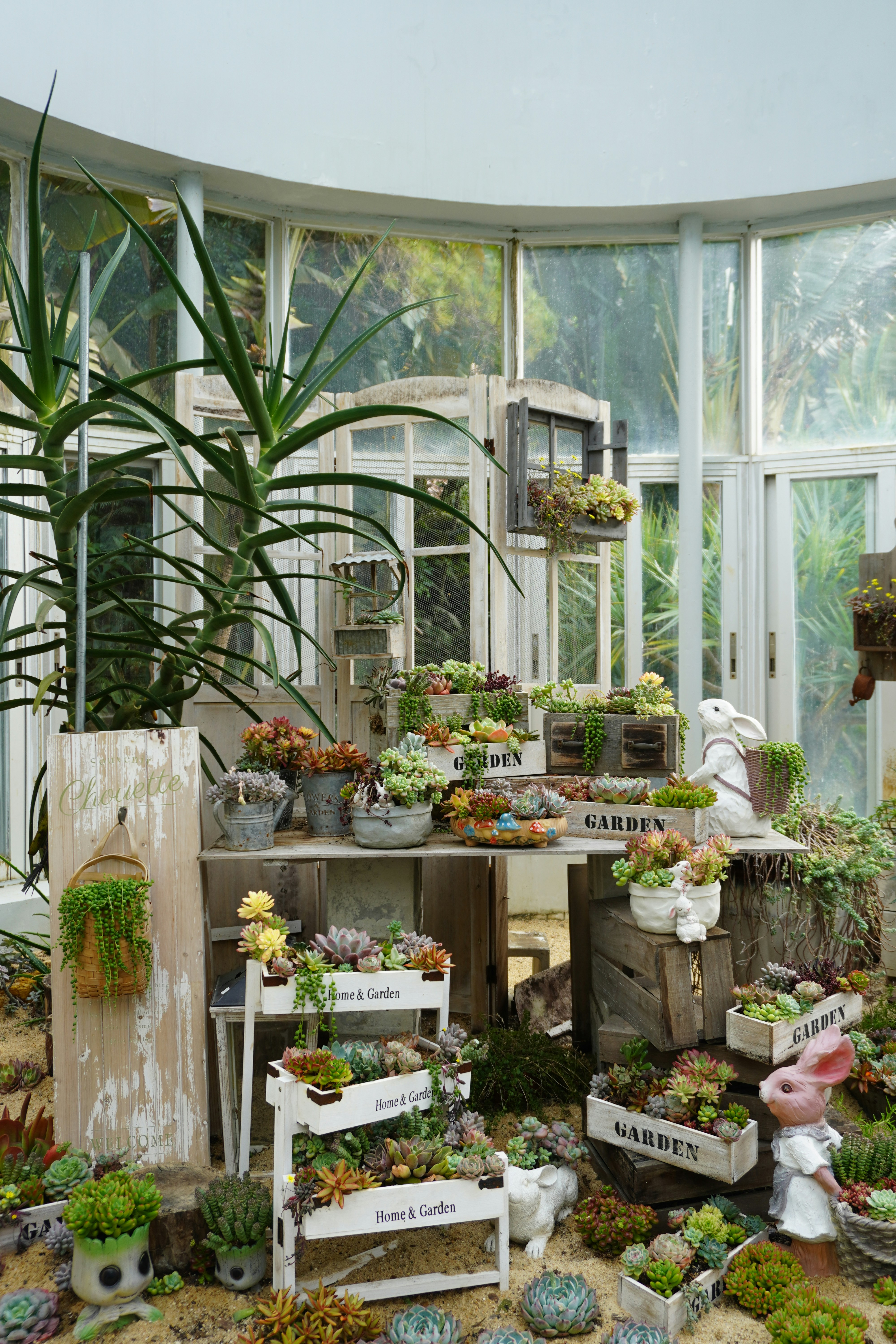Verdant Nook: A Cherry-Flowered Greenhouse Display