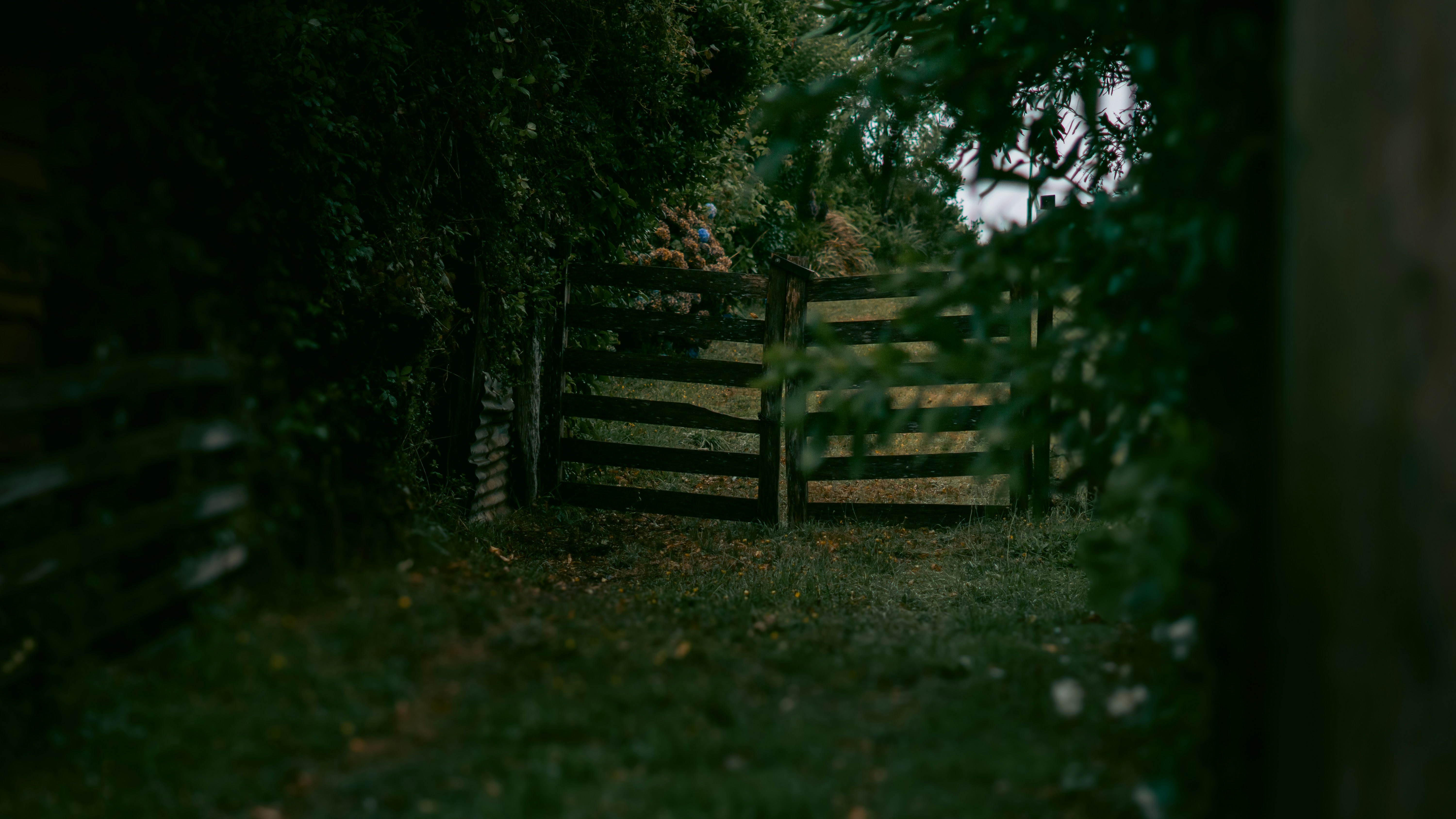 The Quiet Gate: A Narrow Path Through Green Corridors