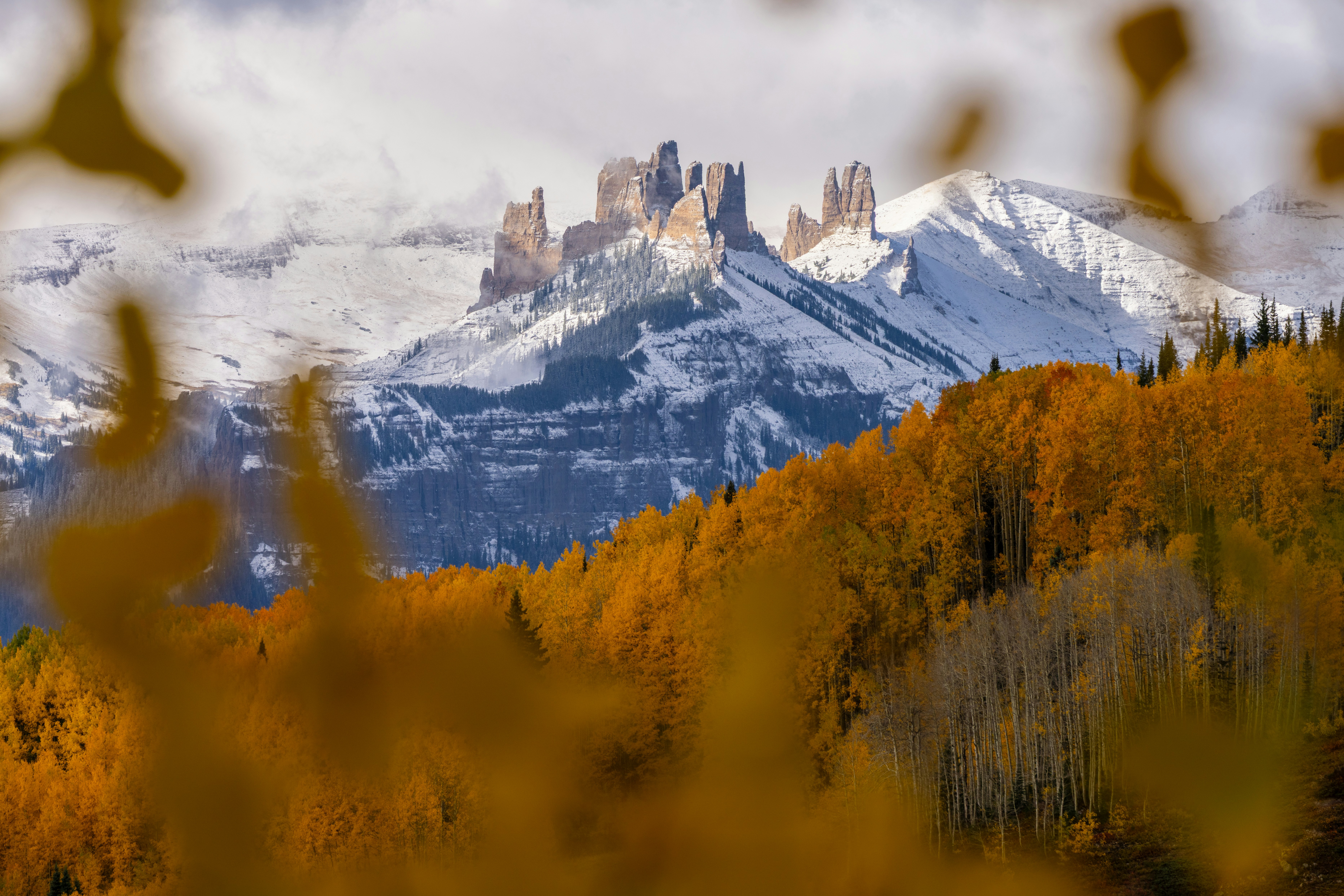 Autumn Peaks: Snow-Capped Rockies Framed by Golden Foliage