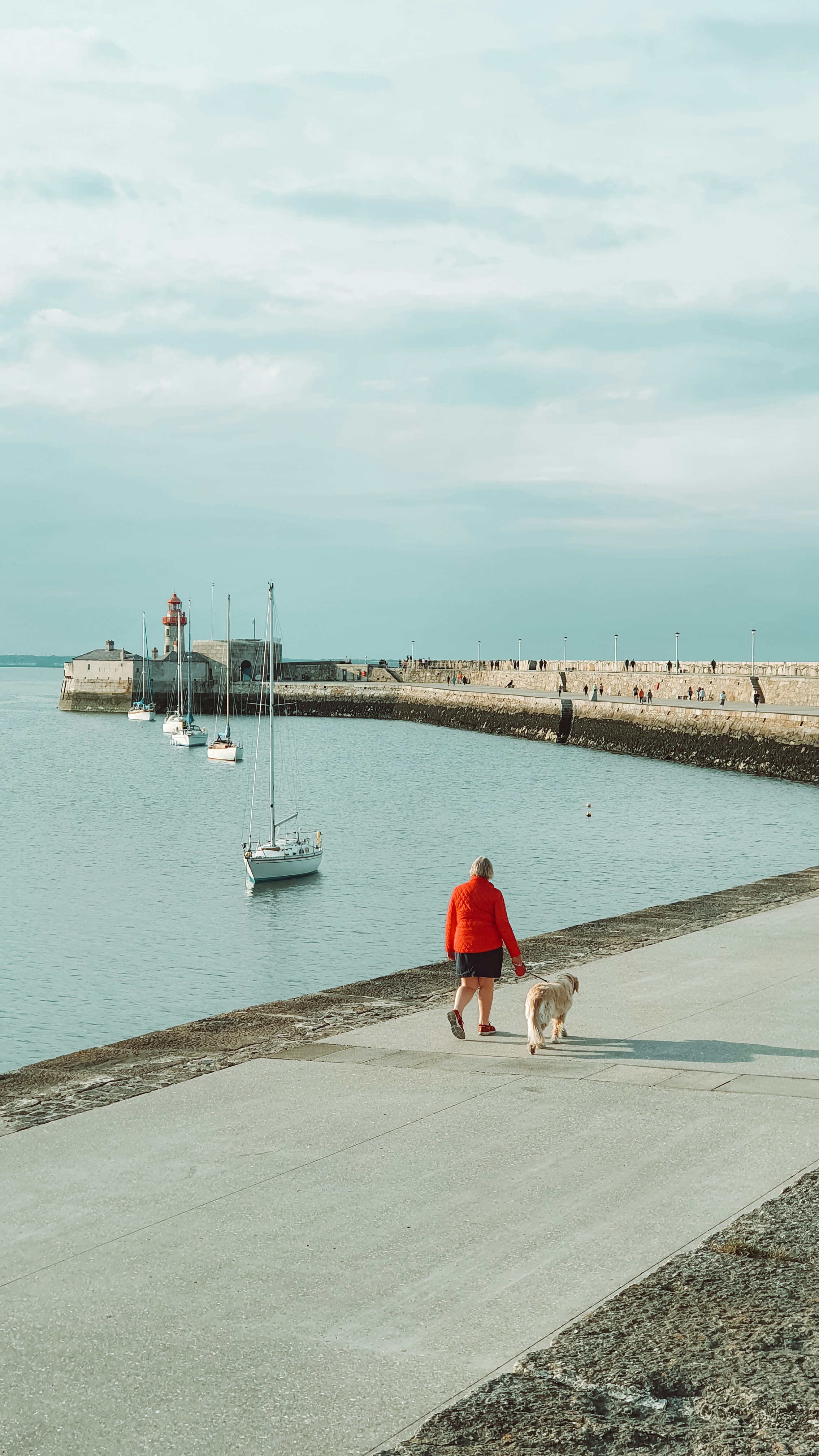 Lonely Walk Along the Pier: Red jacket and a Loyal Companion