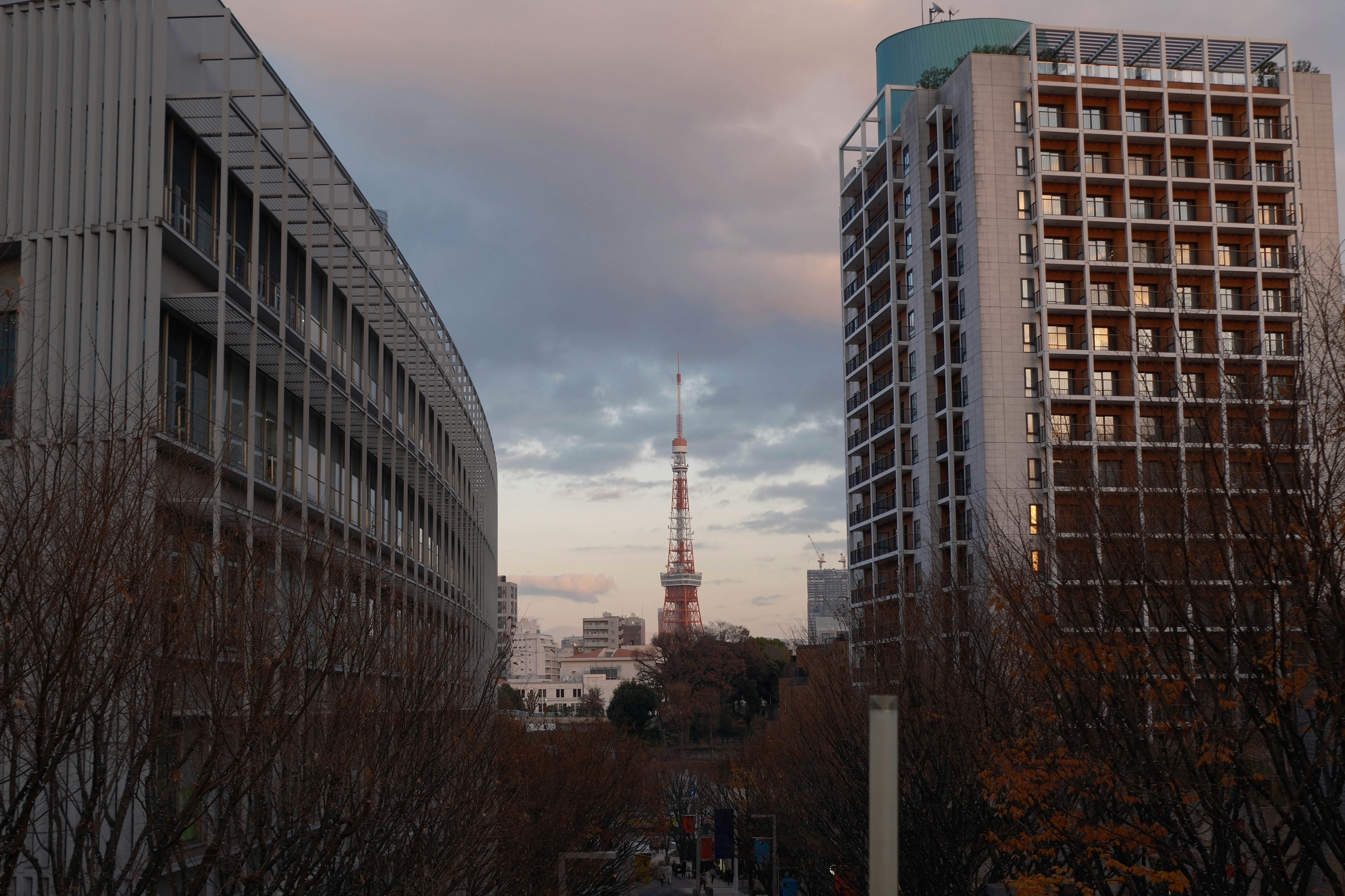 Urban skyline with two tall apartment buildings framing a distant communications tower at dusk; foreground shows leafless trees and a quiet street, creating depth and leading lines.