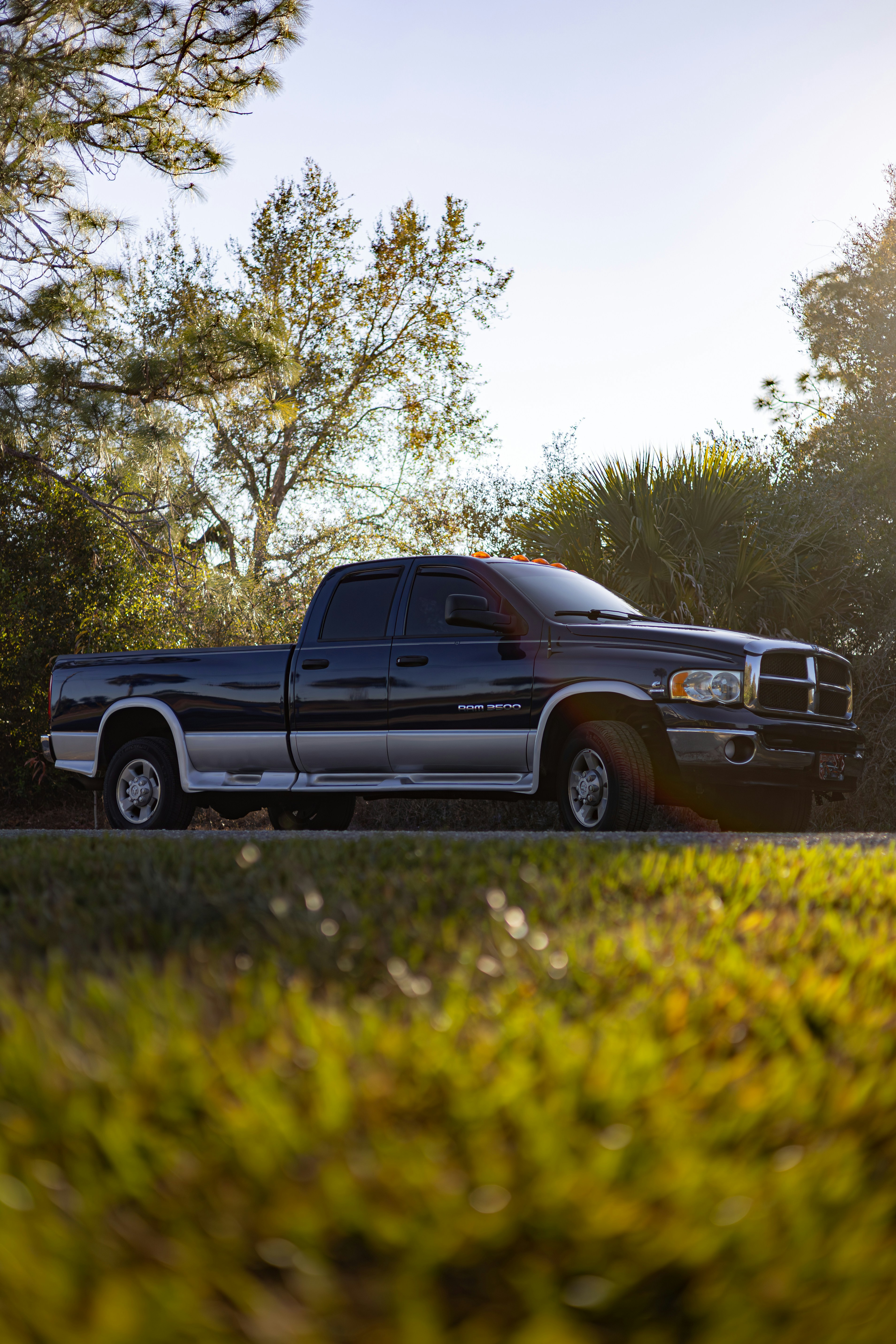 Sunlit Pickup: Quiet Power Resting in a Sunny Yard