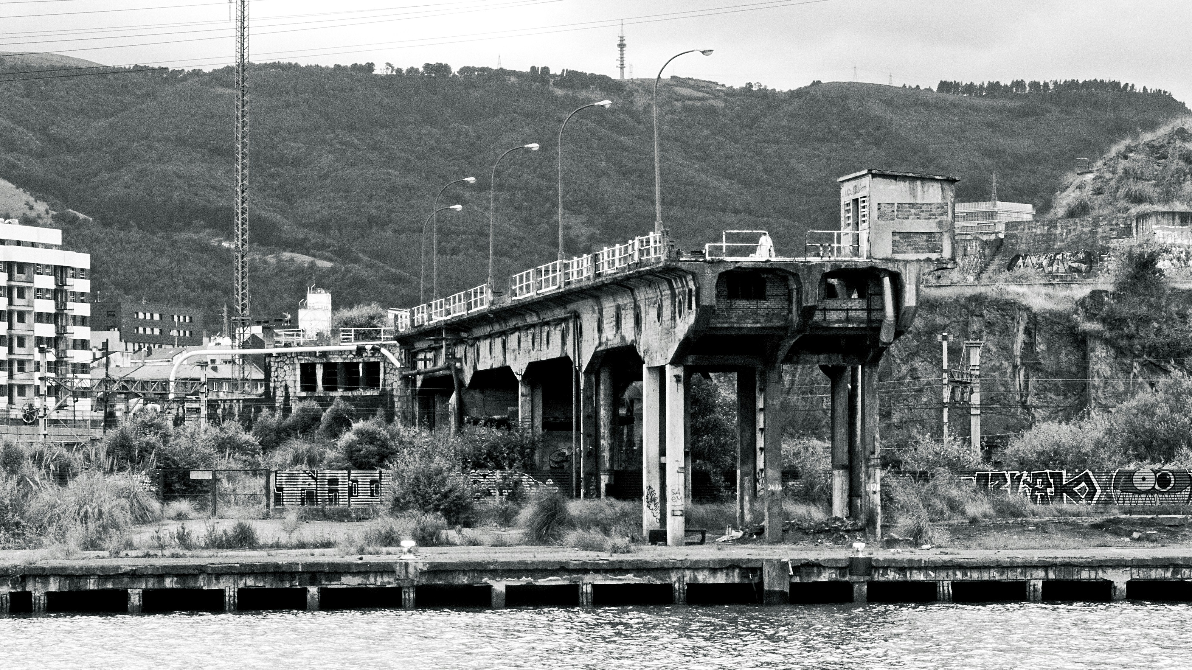 Ghost Rails Over the Waterfront: A Silent Bridge Lingers