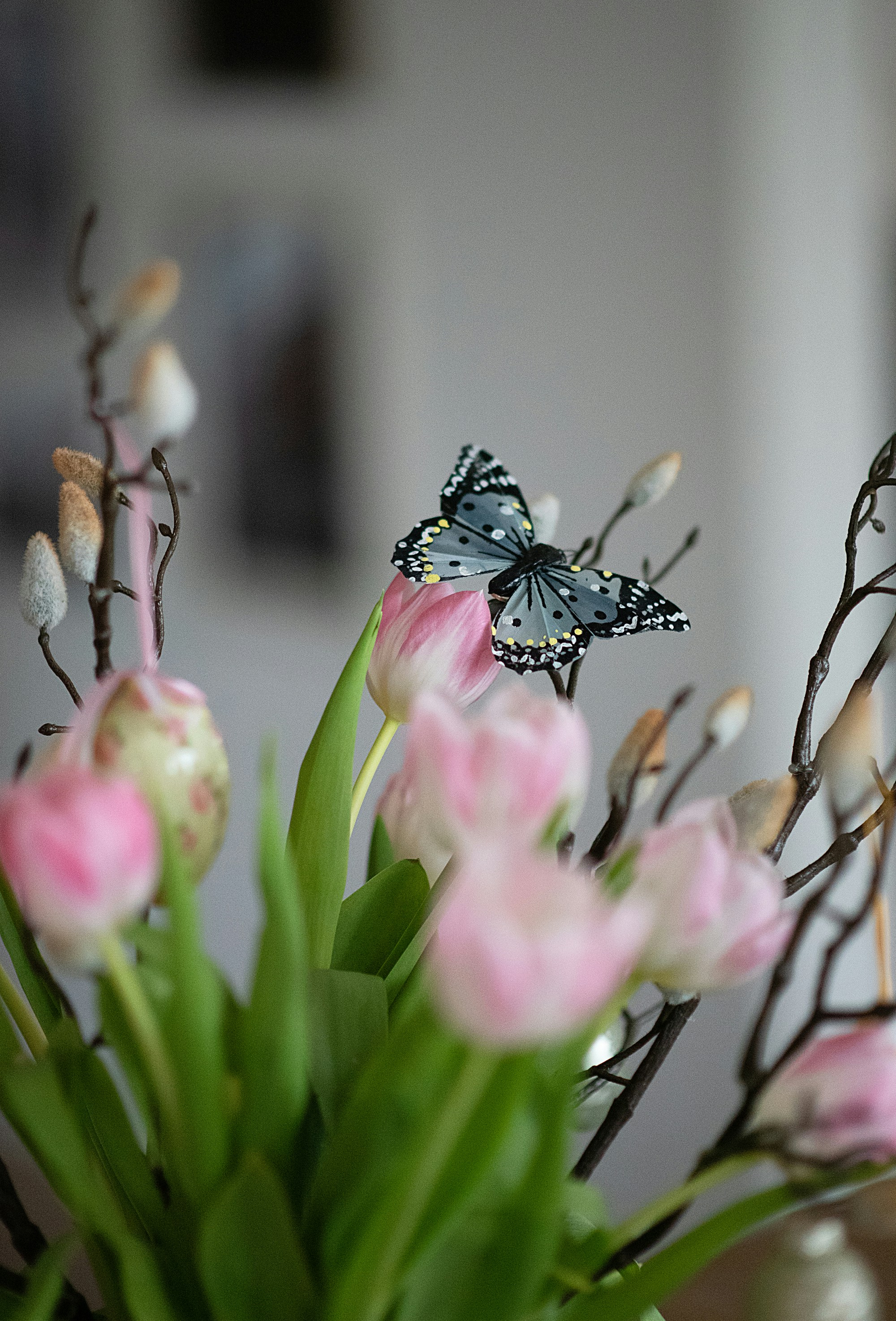 Azure Swallowtail on Pink Tulips: a Moment of Fragile Grace