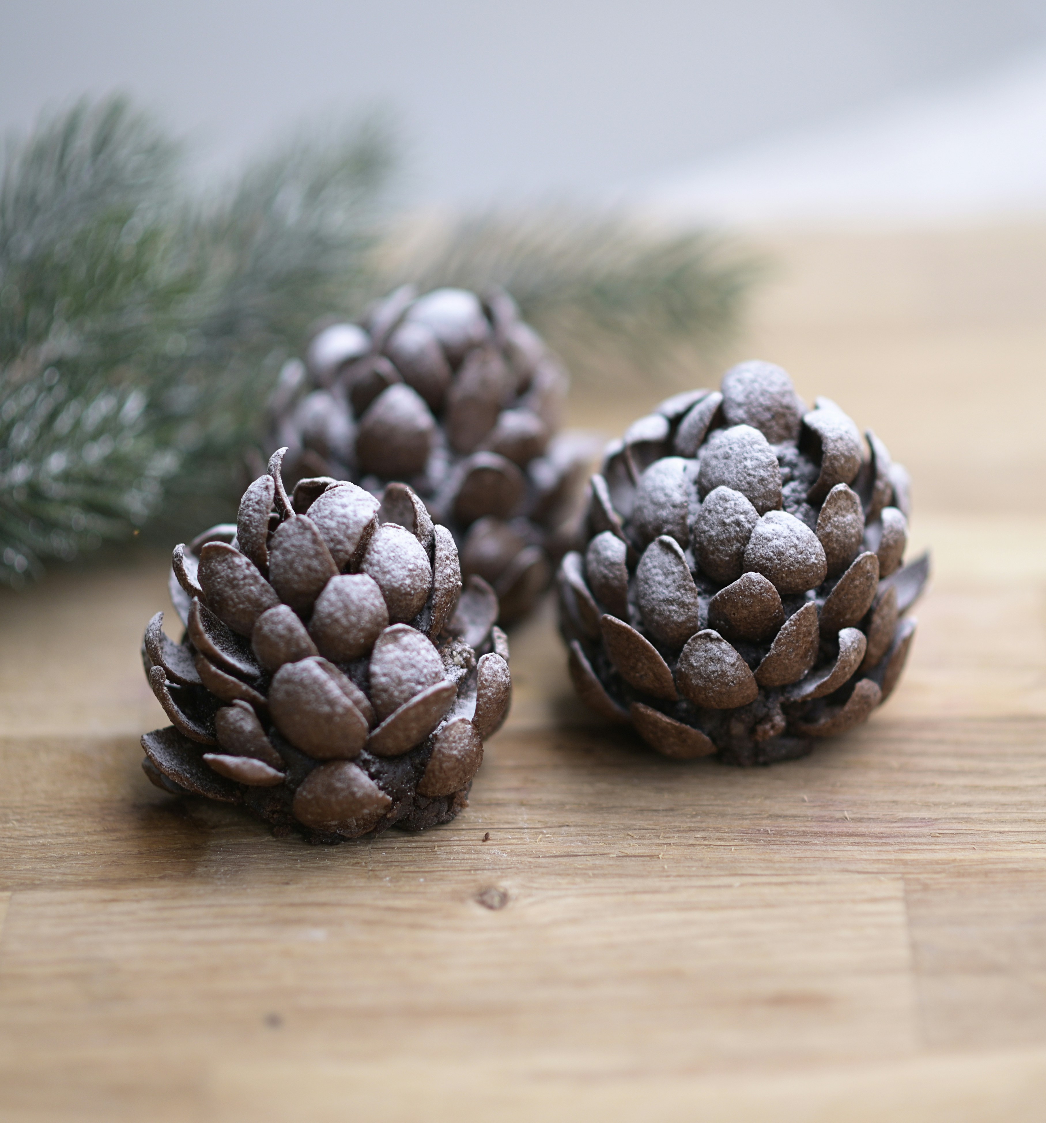 Powdered Pinecones: A Winter Still Life on Wood
