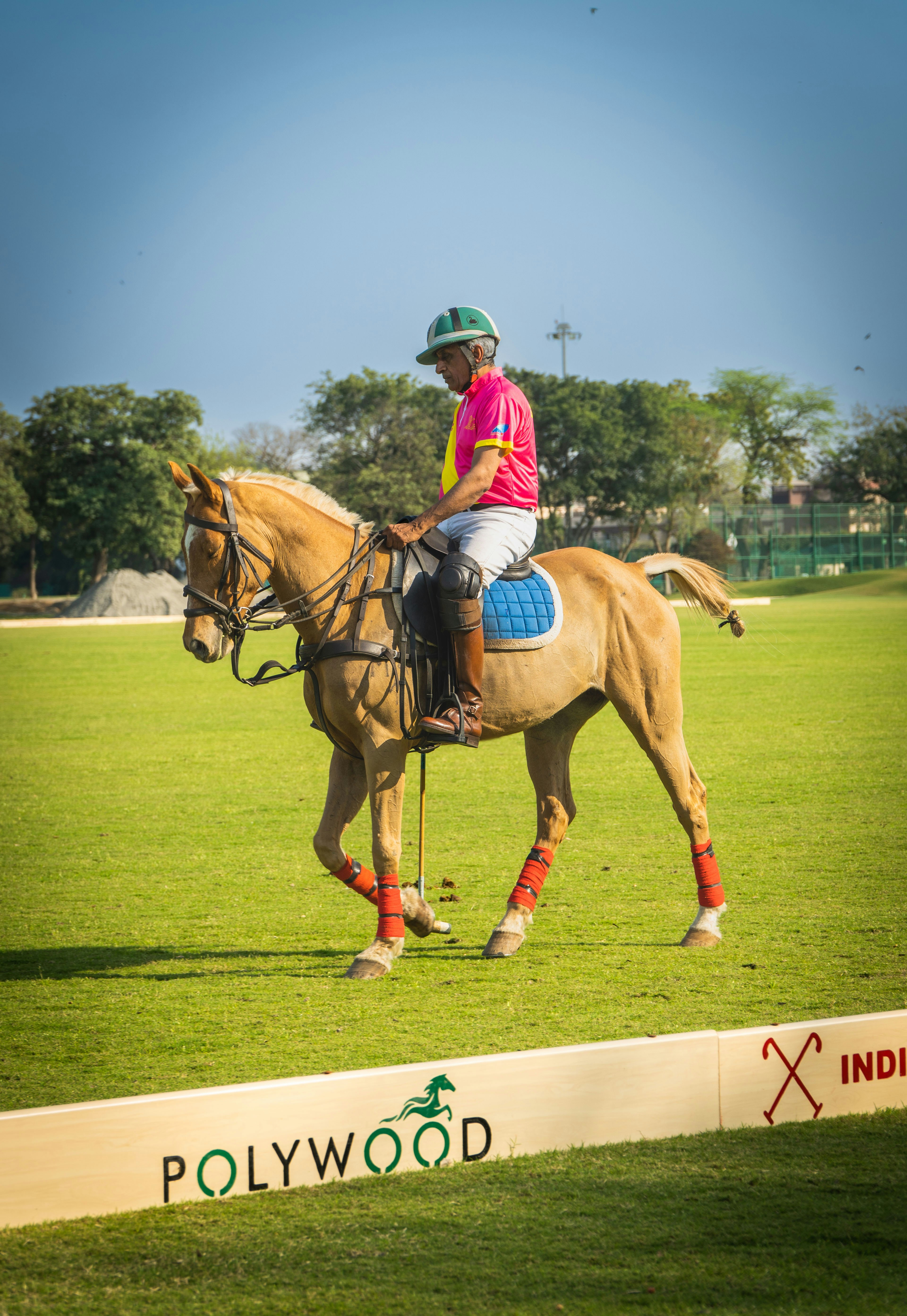 Rider in Vibrant Pink Gainsquarters Over a Polished Pony