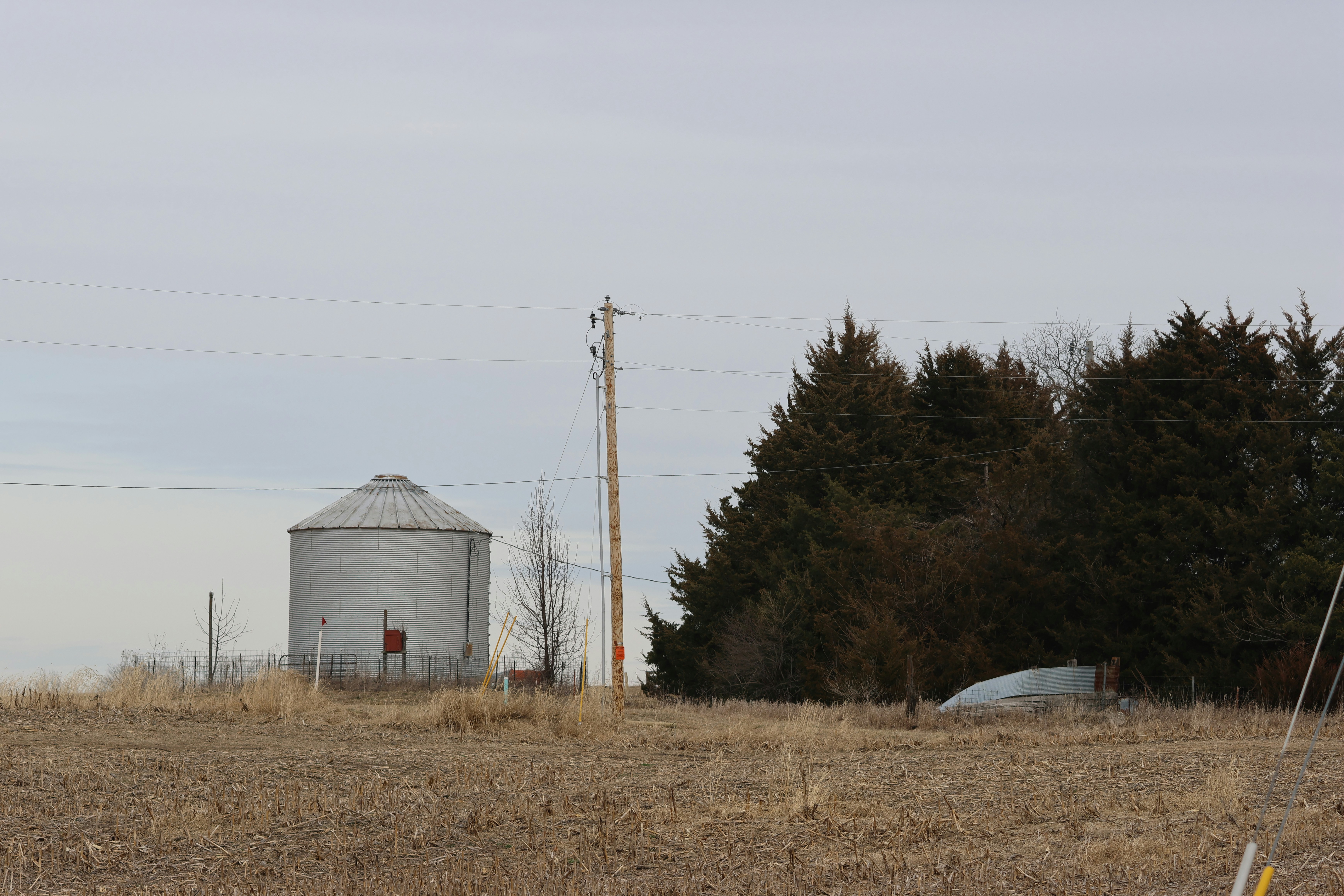 Silhouette of a Grain Silo and Pine Threatening Skies