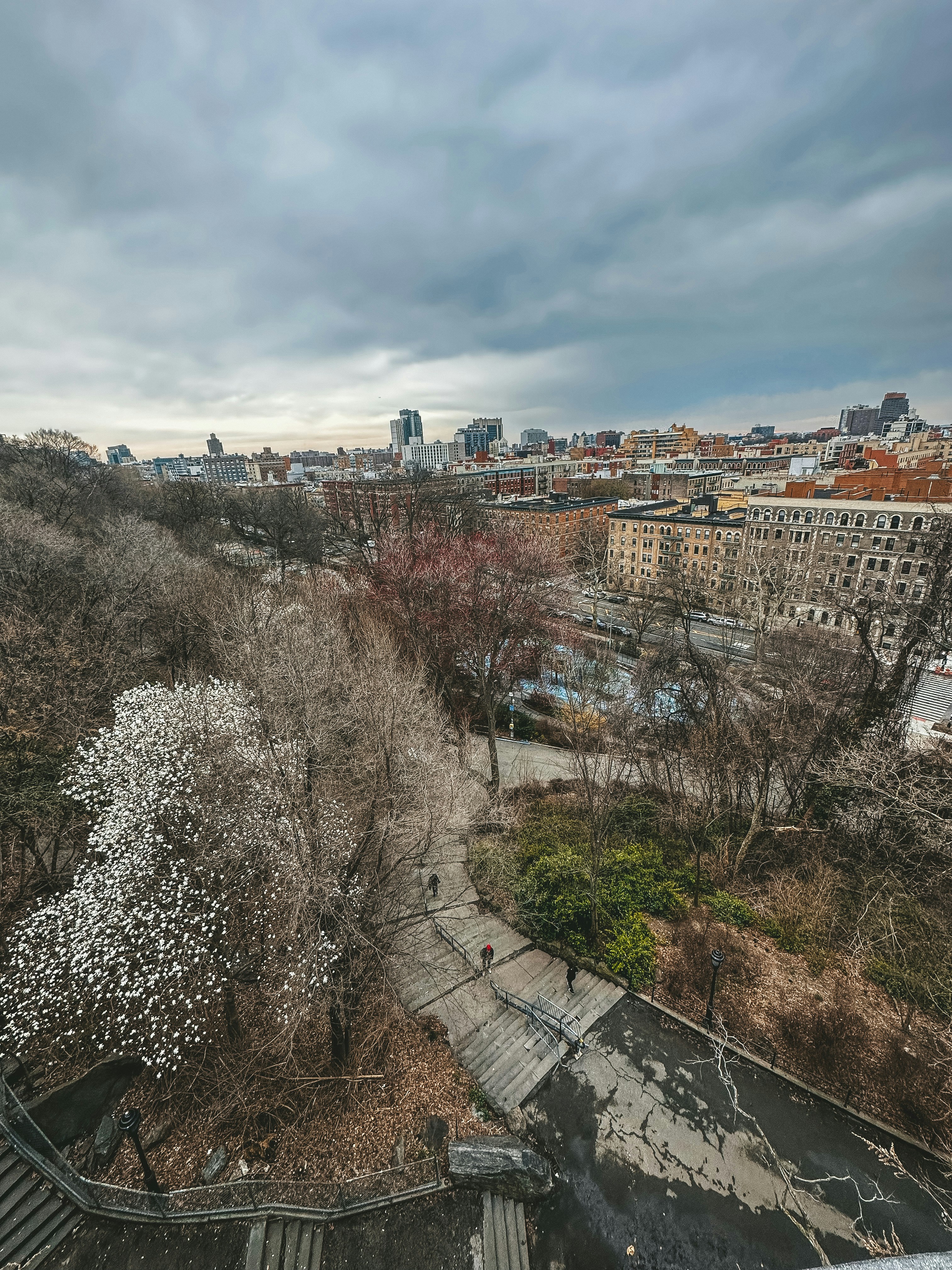 Urban Ridge: A City Panorama Framed by Spring Trees