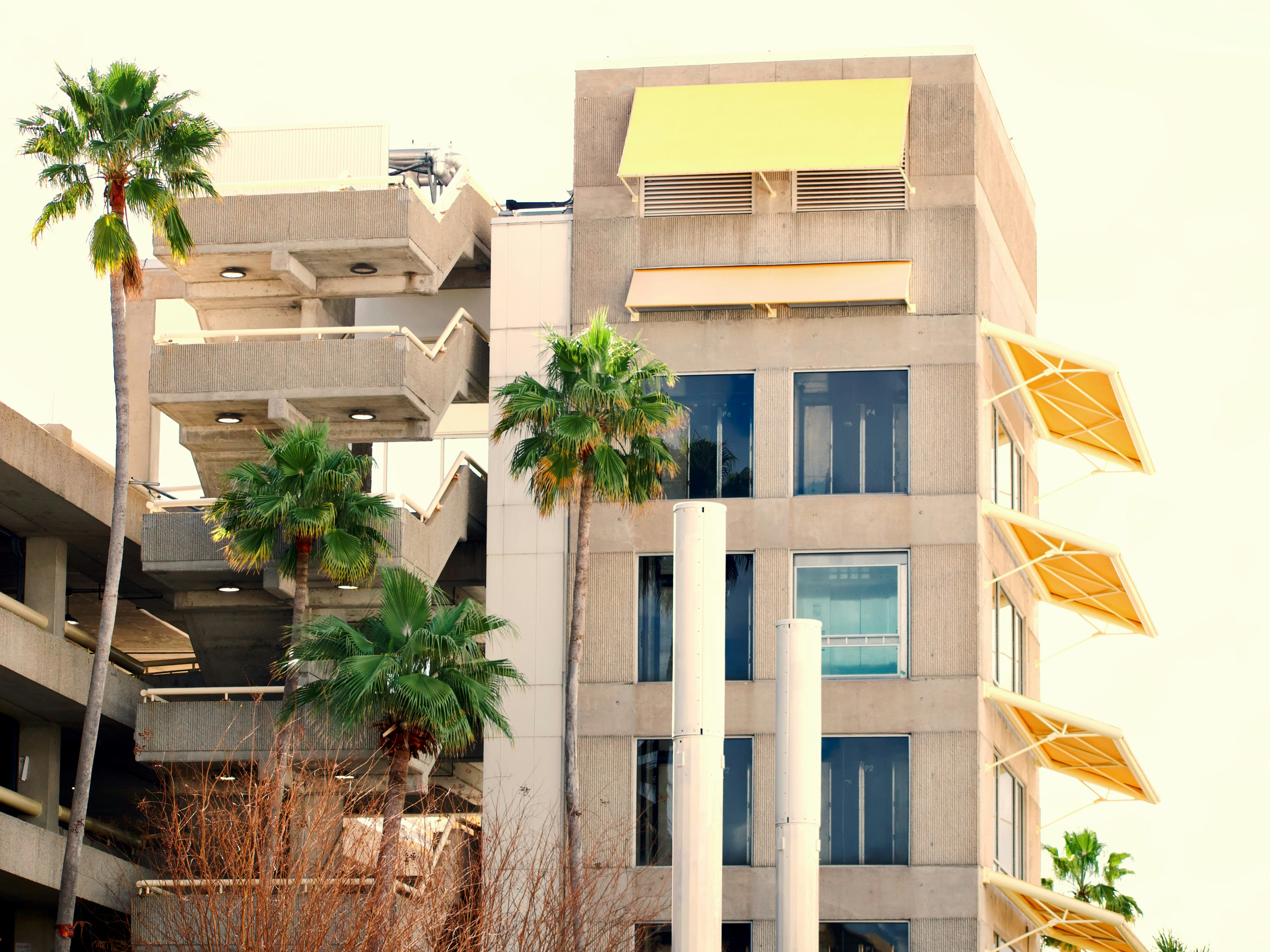 Concrete Pulse: Sunlit Hotel Facade with Towering Palms