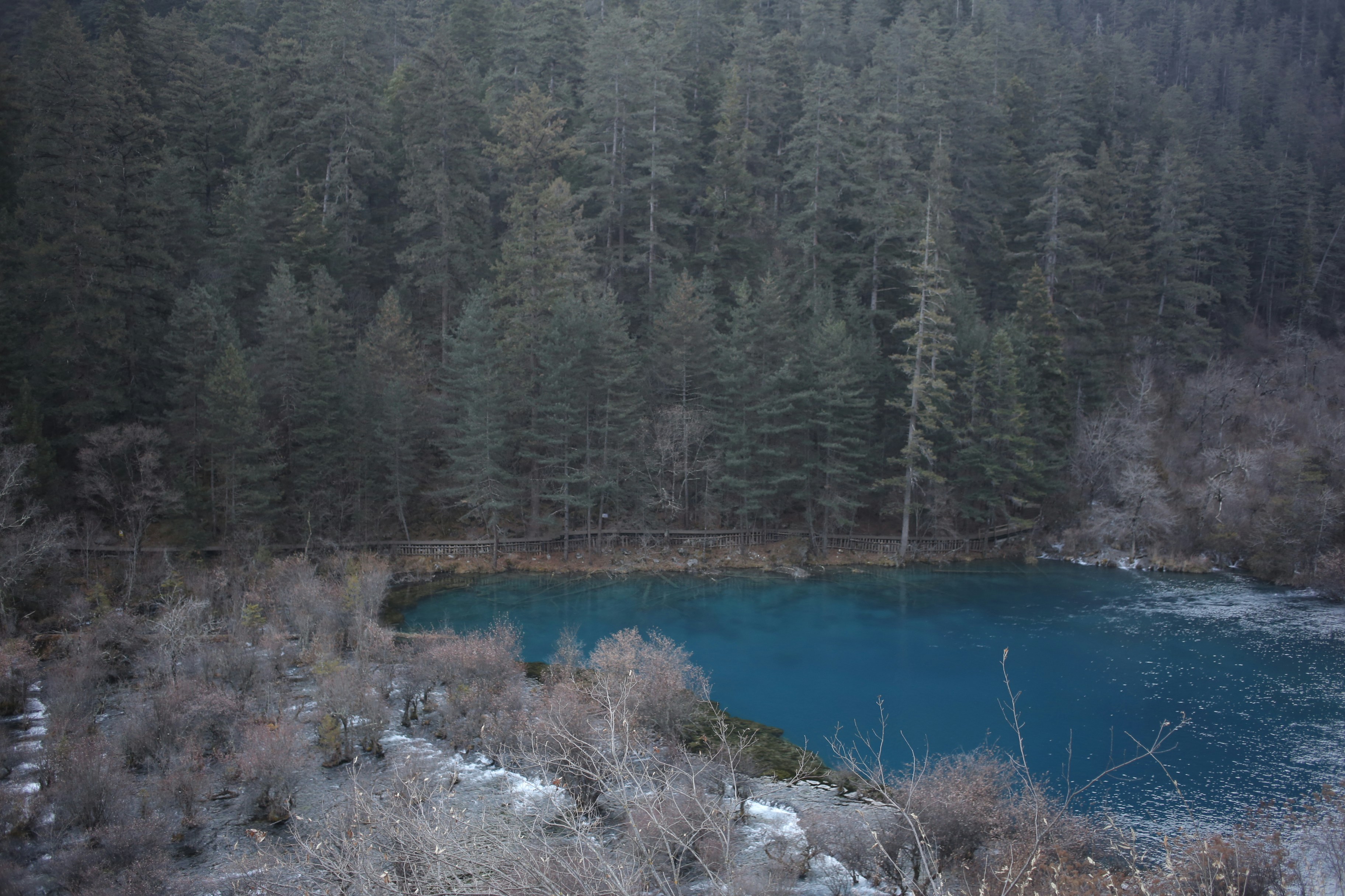 Hidden Aquamarine Basin Surrounded by Conifer Veil