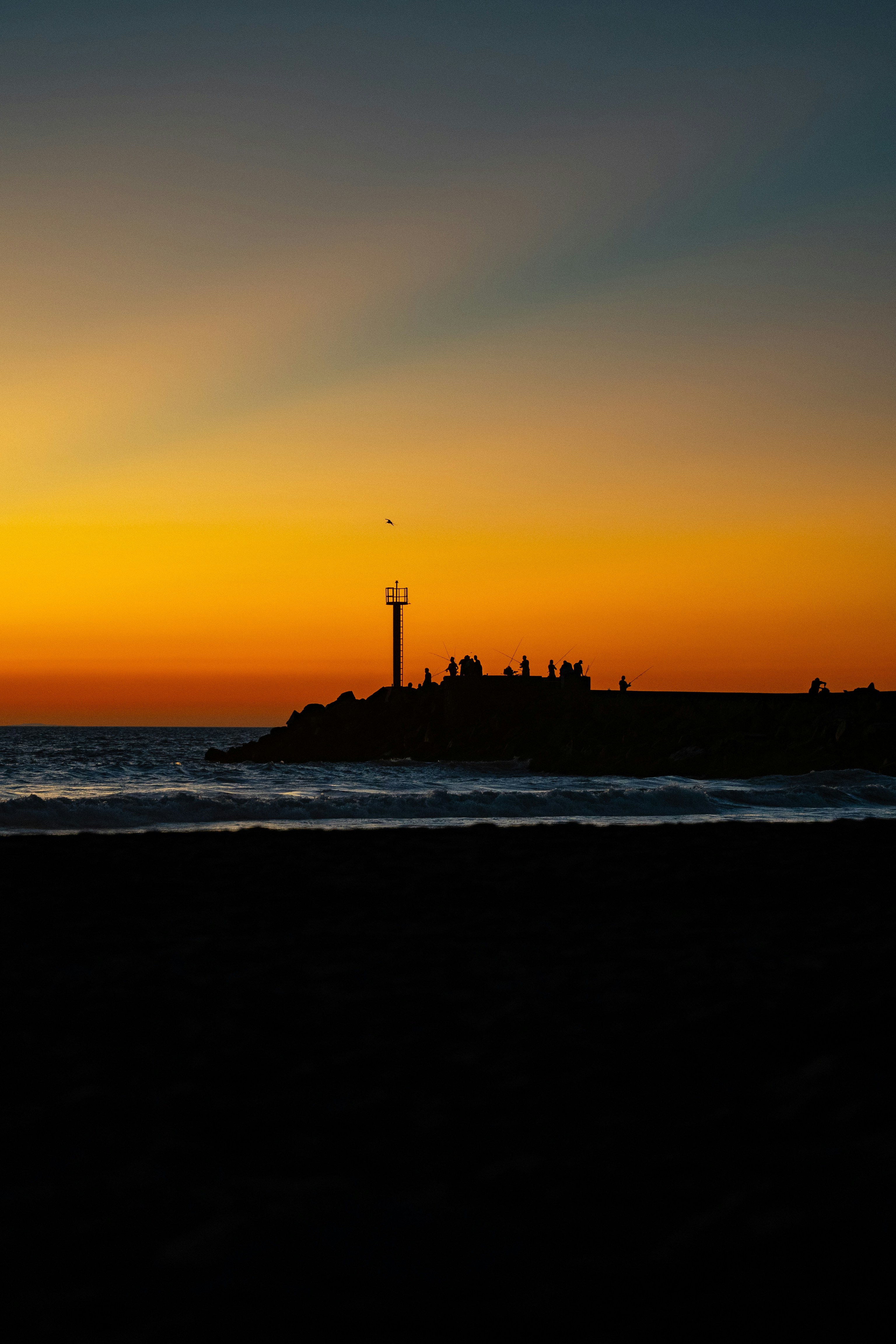 Sunset Sentinel: A Silhouette Herded by Light