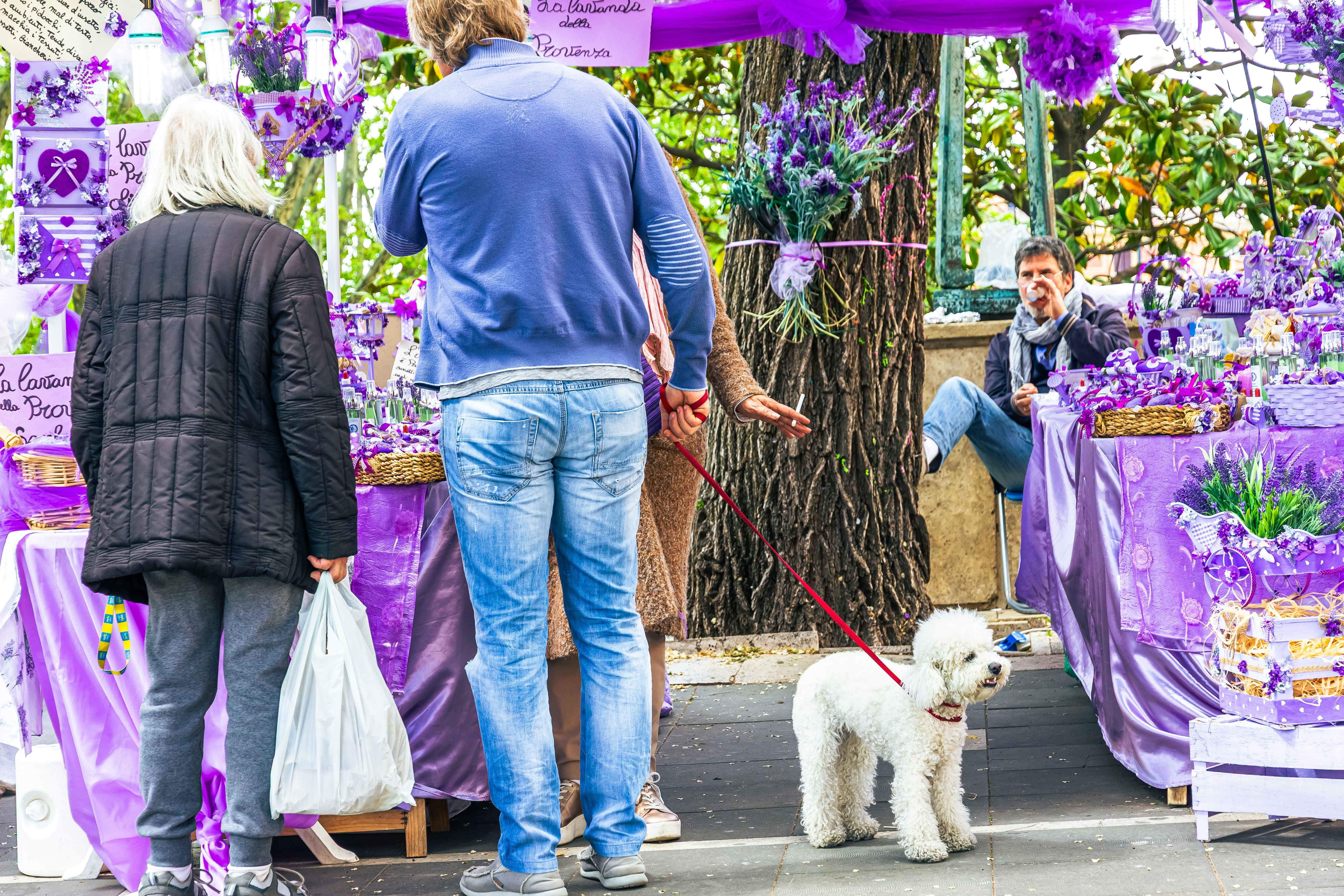Purple Market Moments: A Leashed Dog Among Lavender Tones
