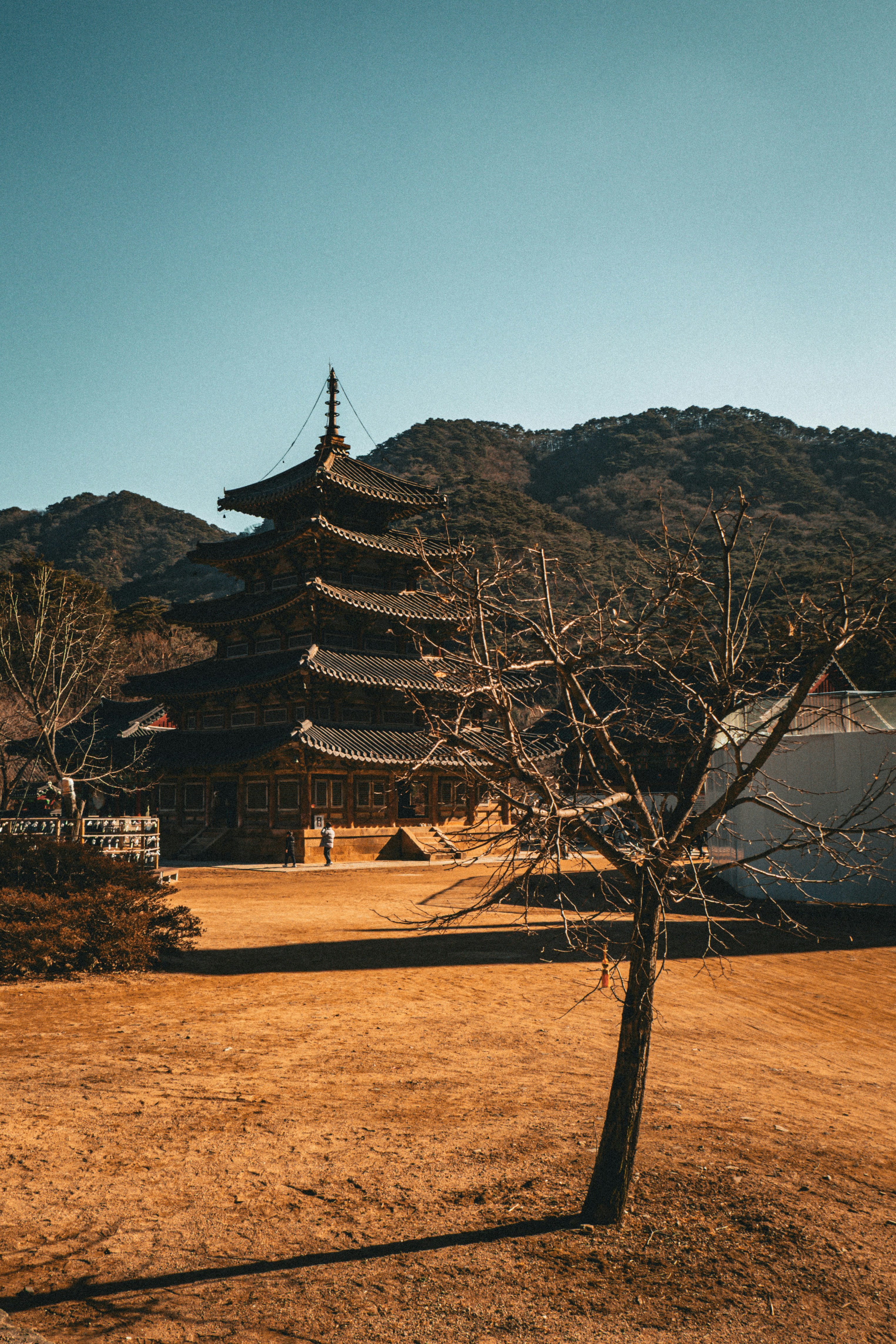 Pagoda under a quiet sky: a temple scene with a bare-lit tree and distant mountains