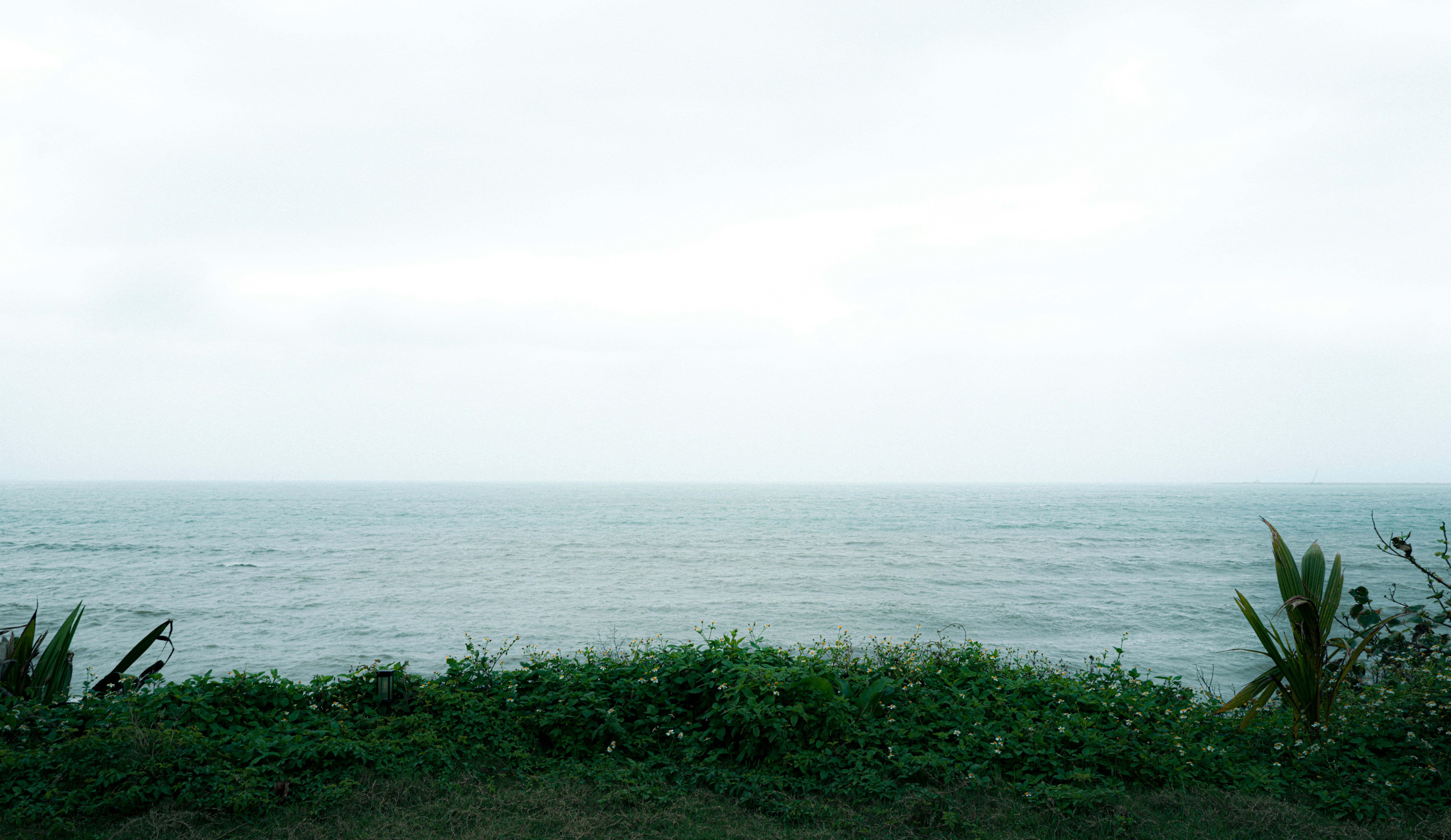 Coastal Verge: Sea Horizon Meets Green Ribbon