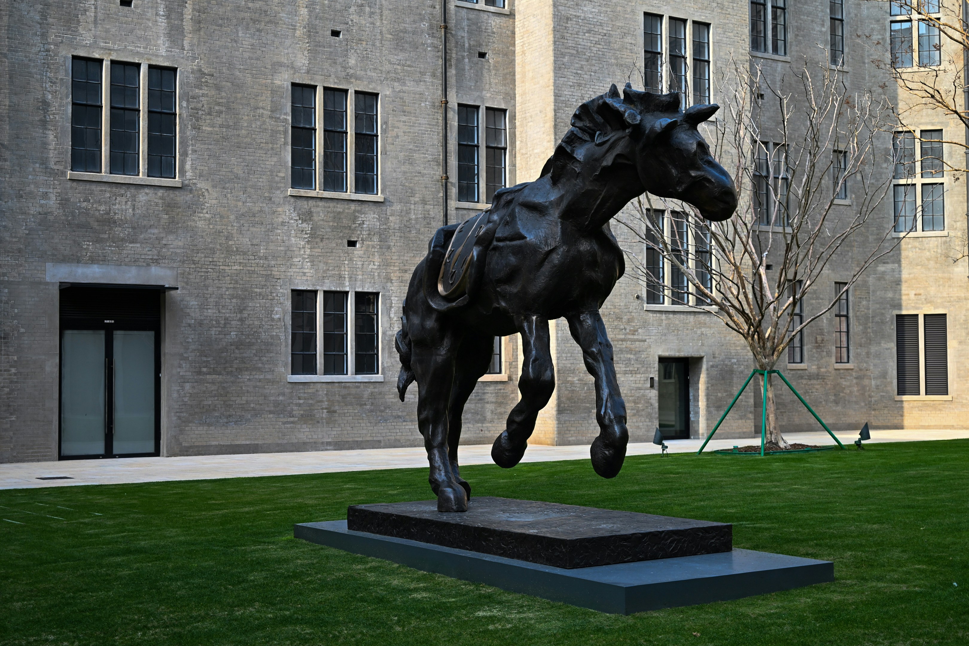 Galloping Bronze: An Urban Horse Ascends a Pad