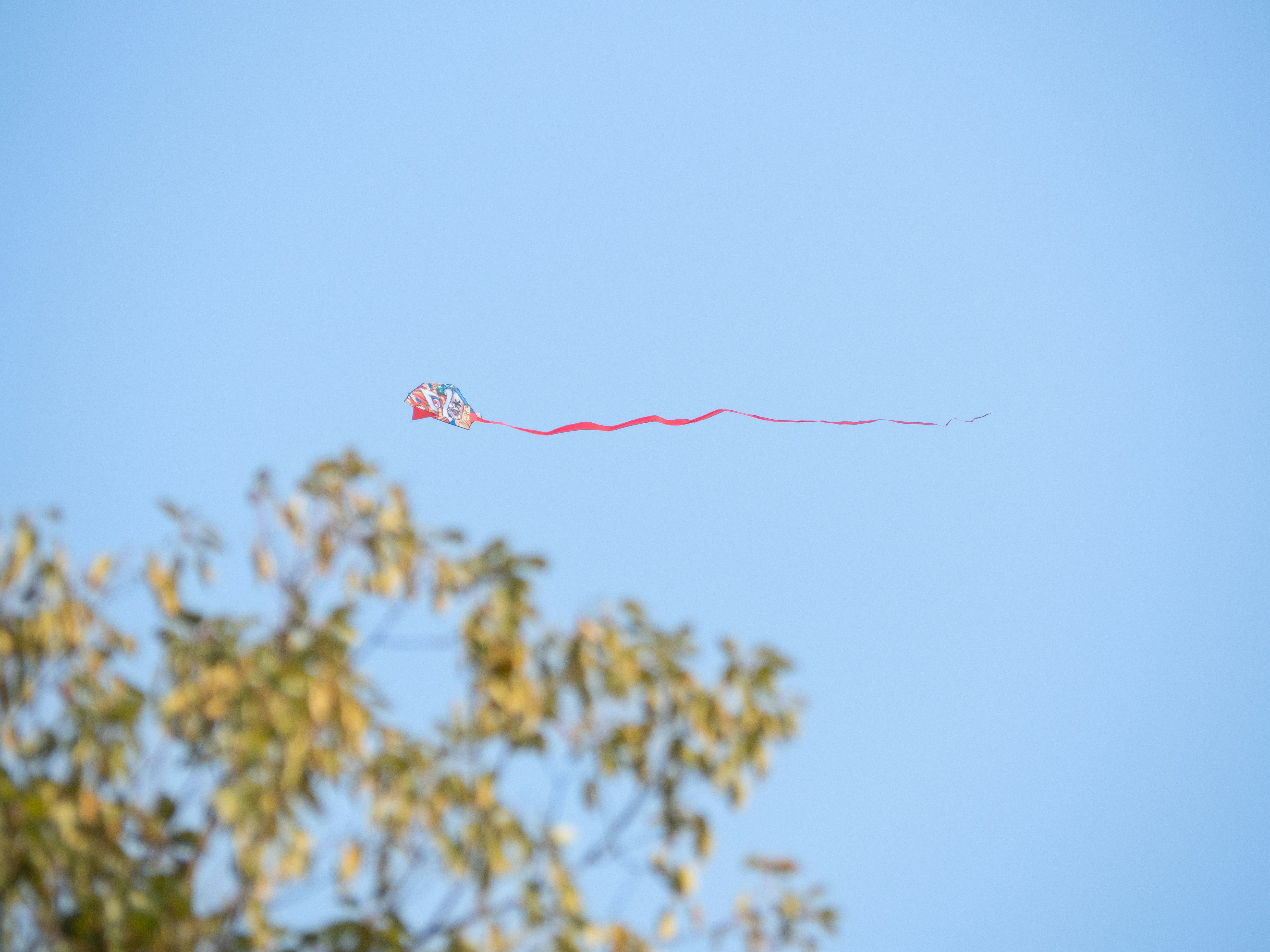 A red kite flies in the clear blue sky.