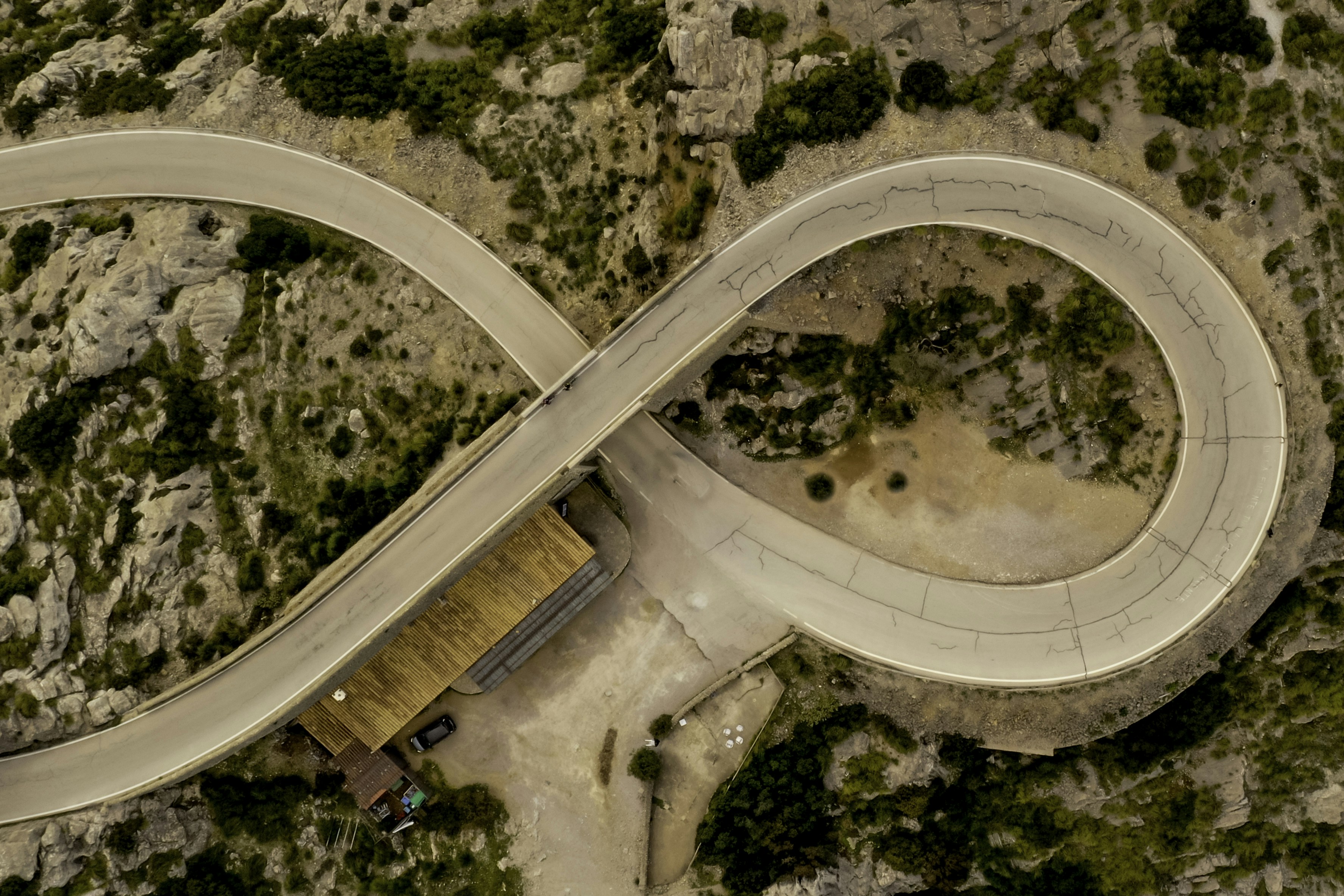 Curved Mountain Road Snaking Through Barren Pines