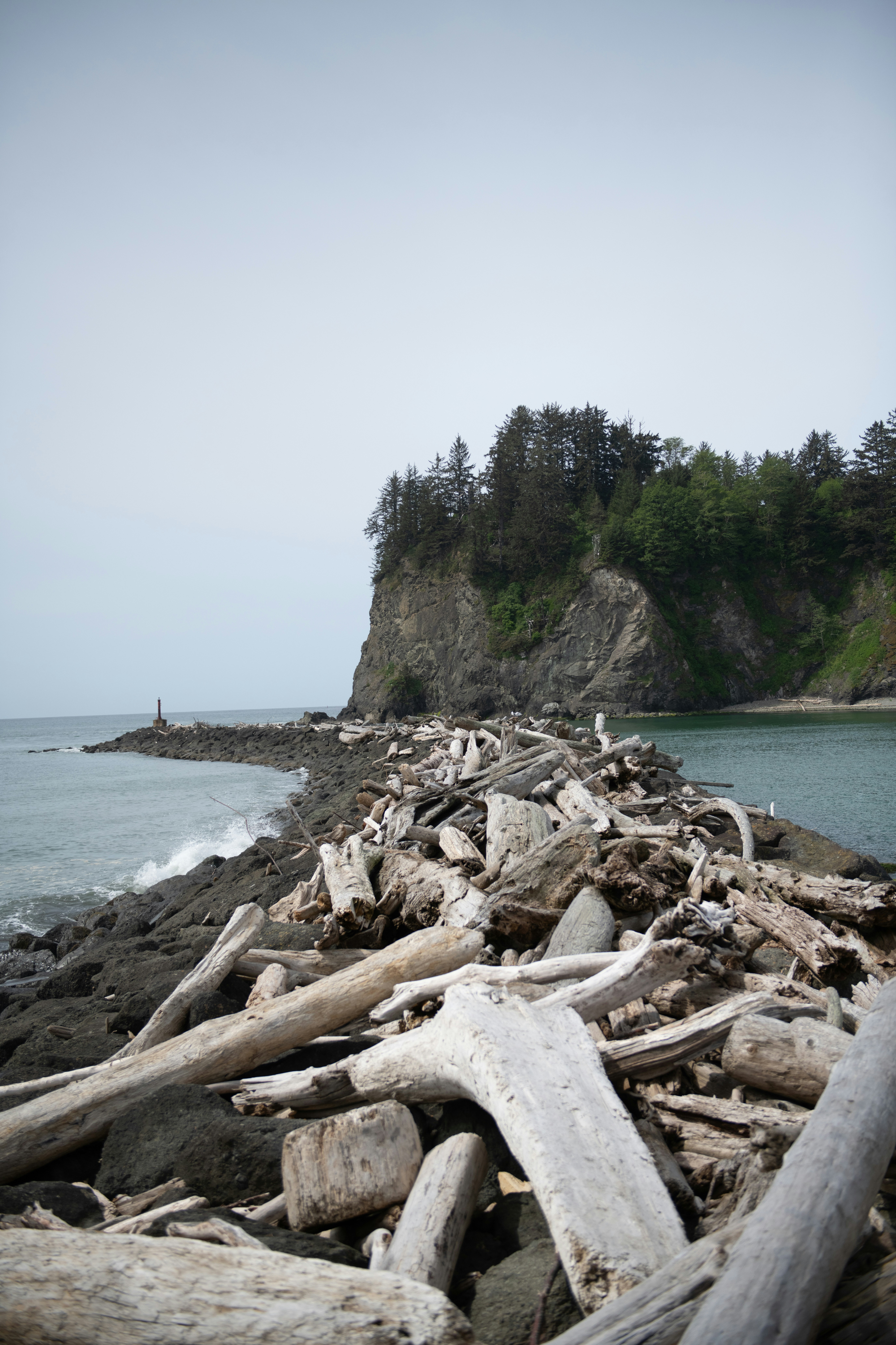 Weathered driftwood stretches along a rocky jetty toward a tree-topped cliff by a calm sea, guiding the eye toward the landmass at the horizon.