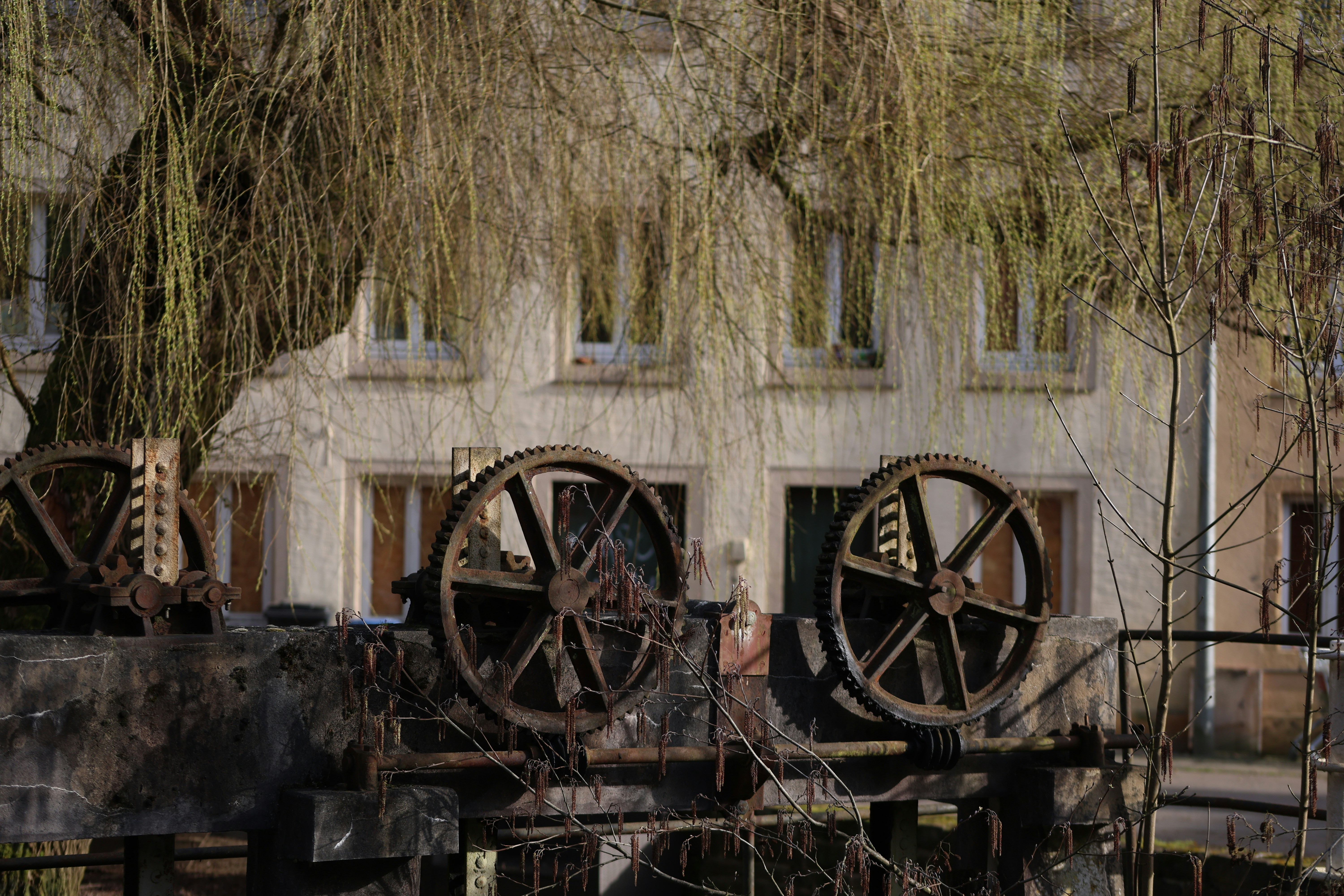 Rotors and Relics: A Quiet Edge of Industry