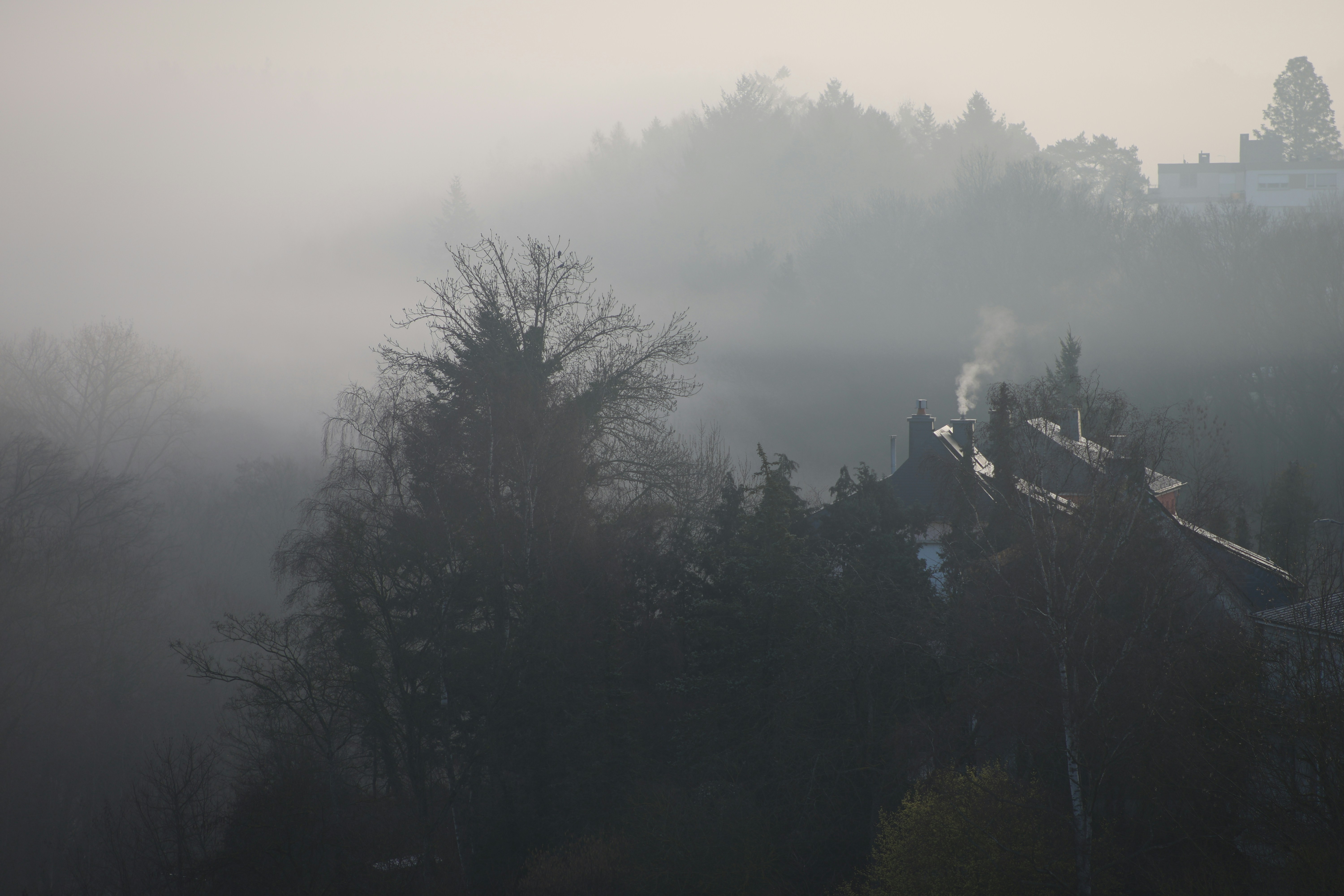 Misty Ridge: A Quiet Silhouette Over Fogbound Homes