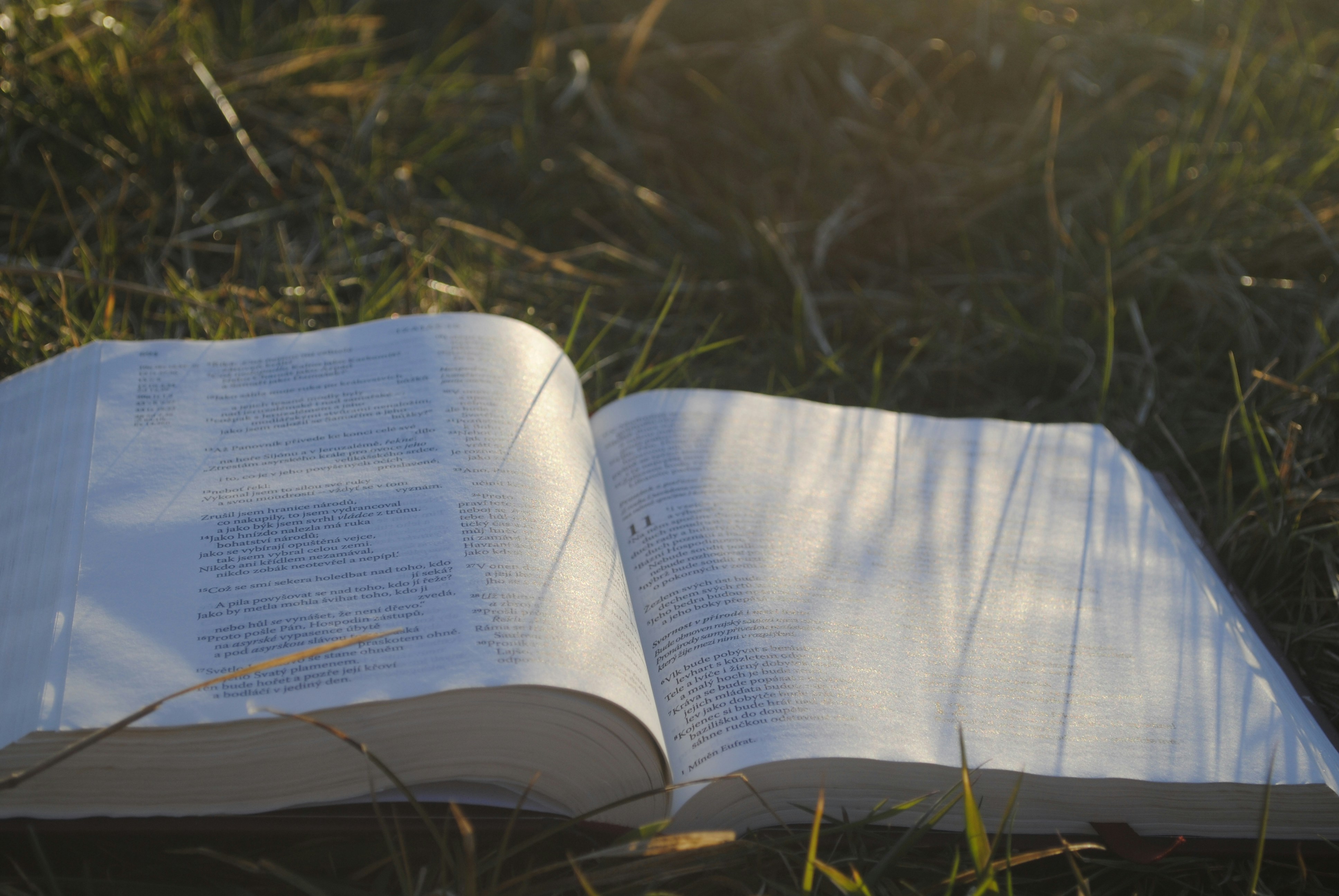 Sunlit Pages: An Open Bible Sprawled Across Grass