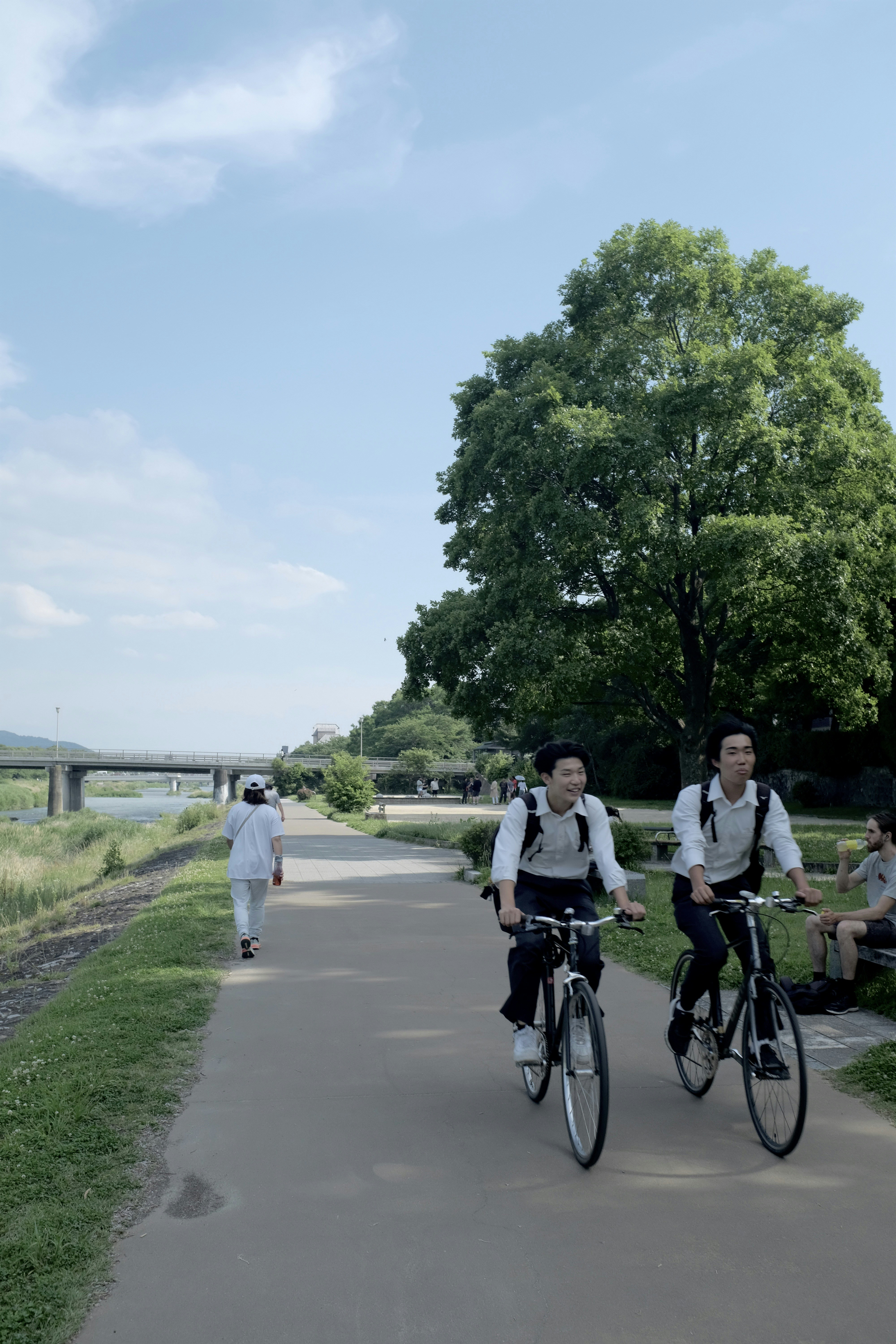 Riverside Ride: Two students on a sunny park path under a grand tree