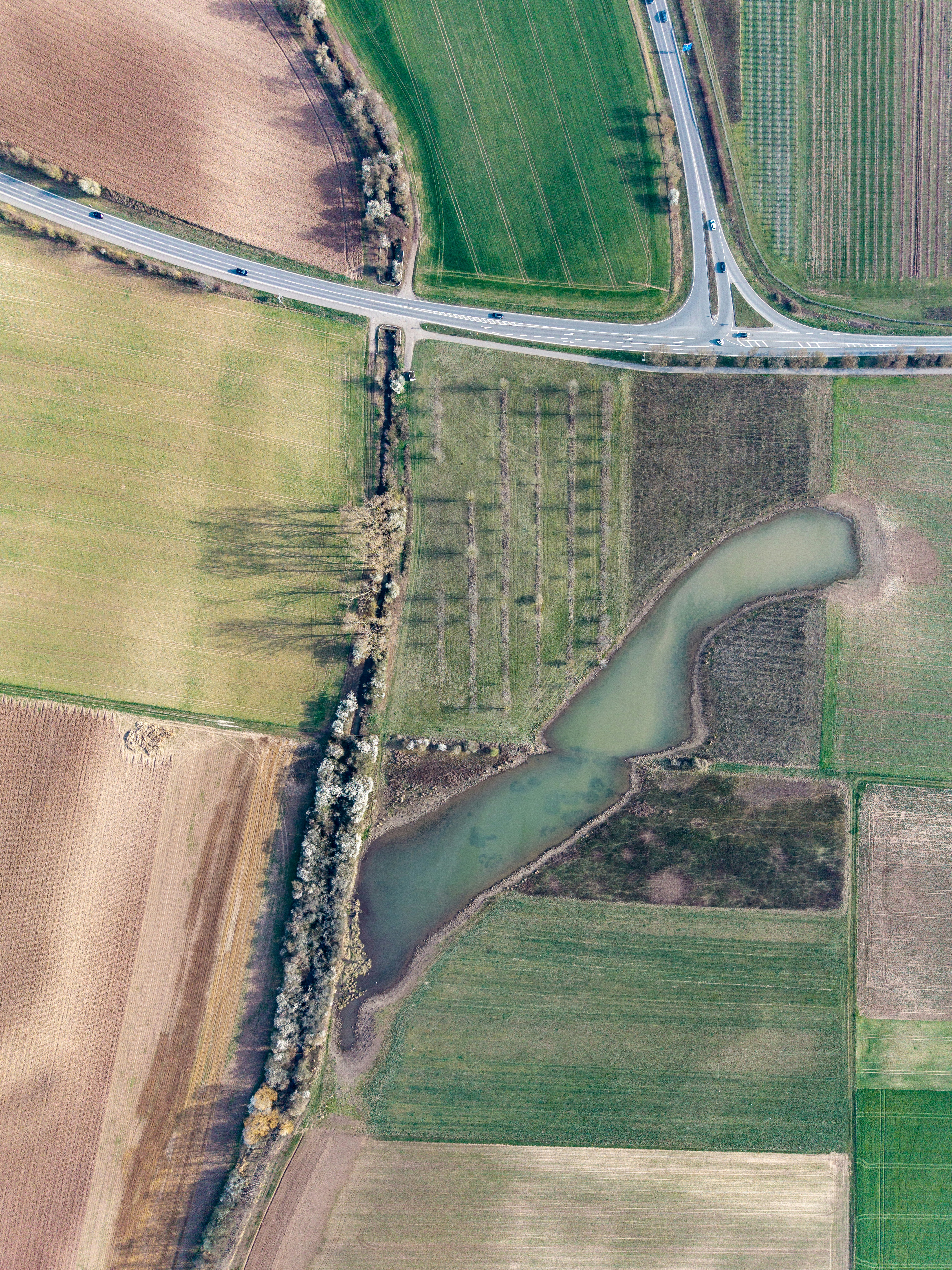 Crossroads Over Fields: Aerial Calm Over a Patchwork Landscape