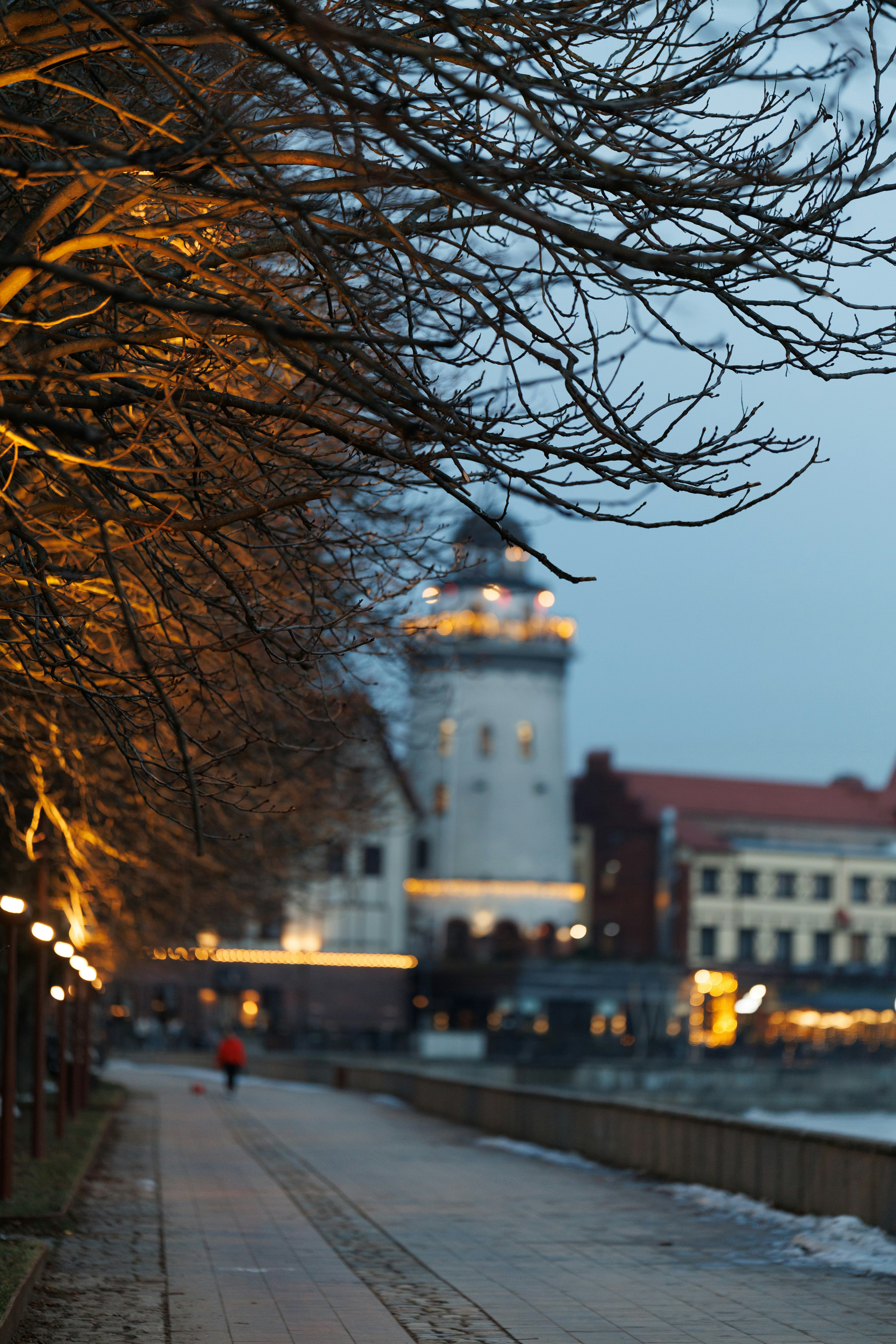 Lighthouse glow along a leaf-arched riverside
