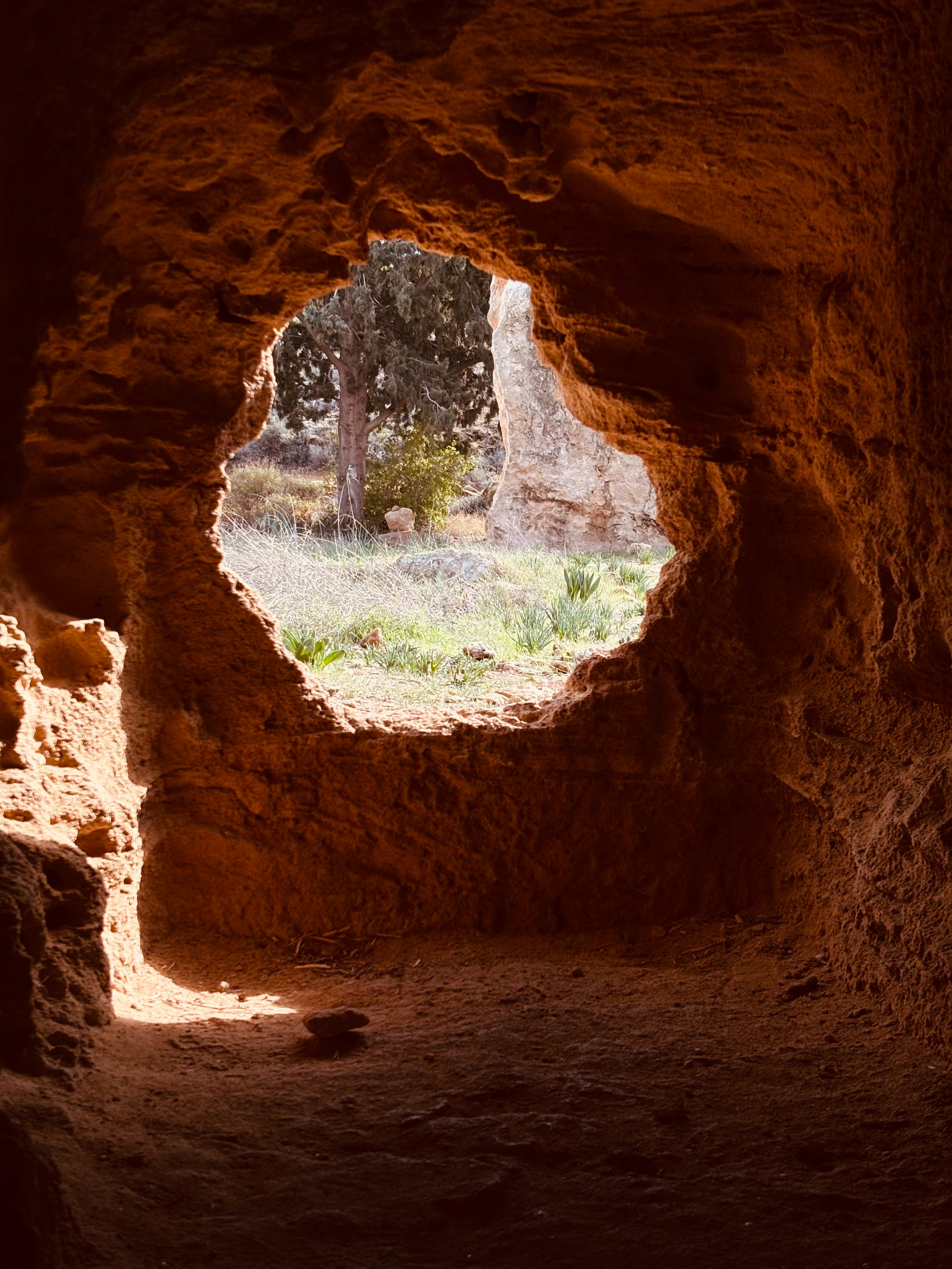 Emergent Light: A Cave Window Framing Sunlit Clearing