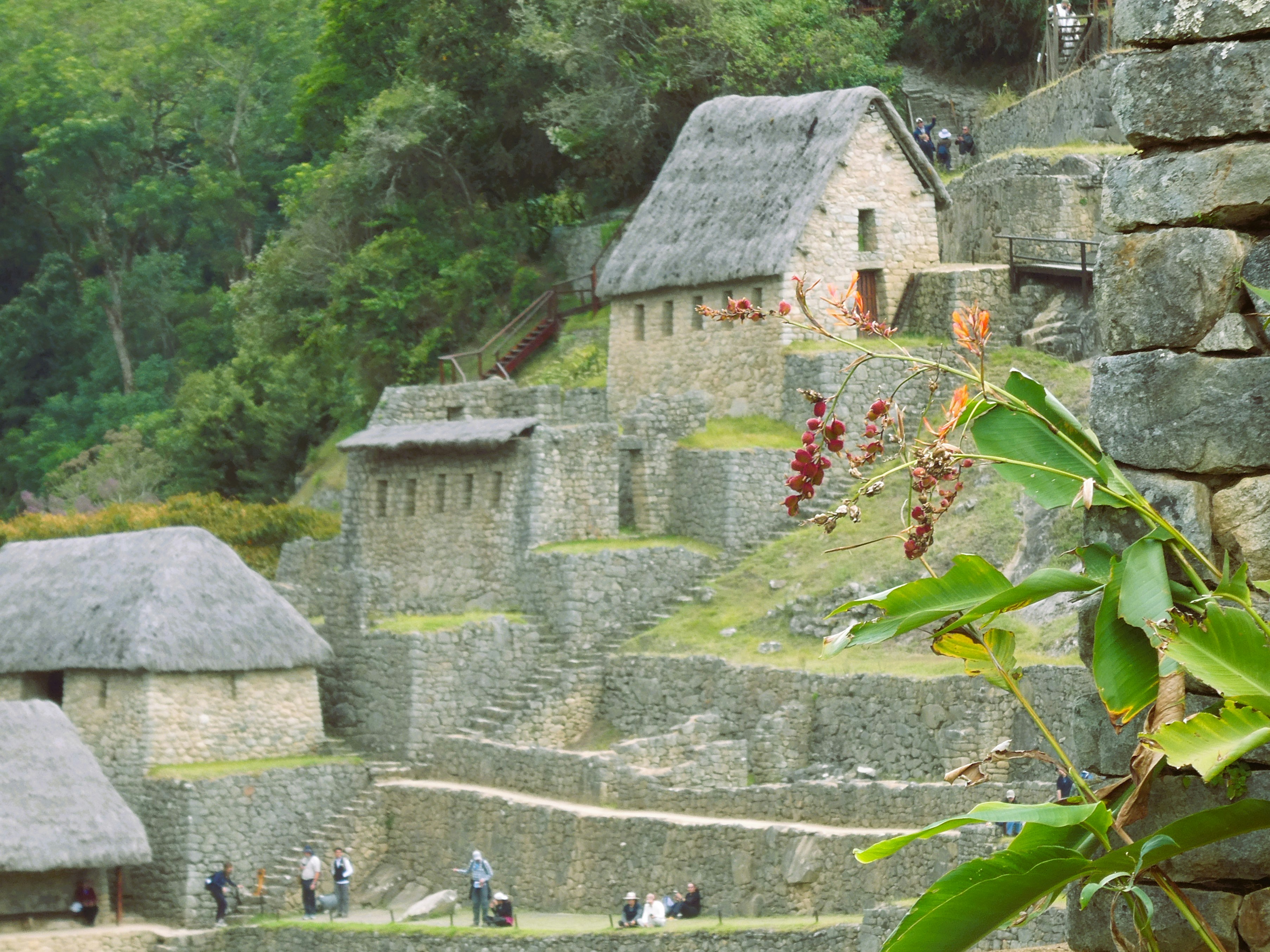 'Lost City of the Incas', Inca citadel of Machu Picchu. Built around 1450 in the Andes mountains above the Urubamba river valley between two sharp peaks. The terraces of Machu Picchu were used for the slope stabilization and corn cultivation.