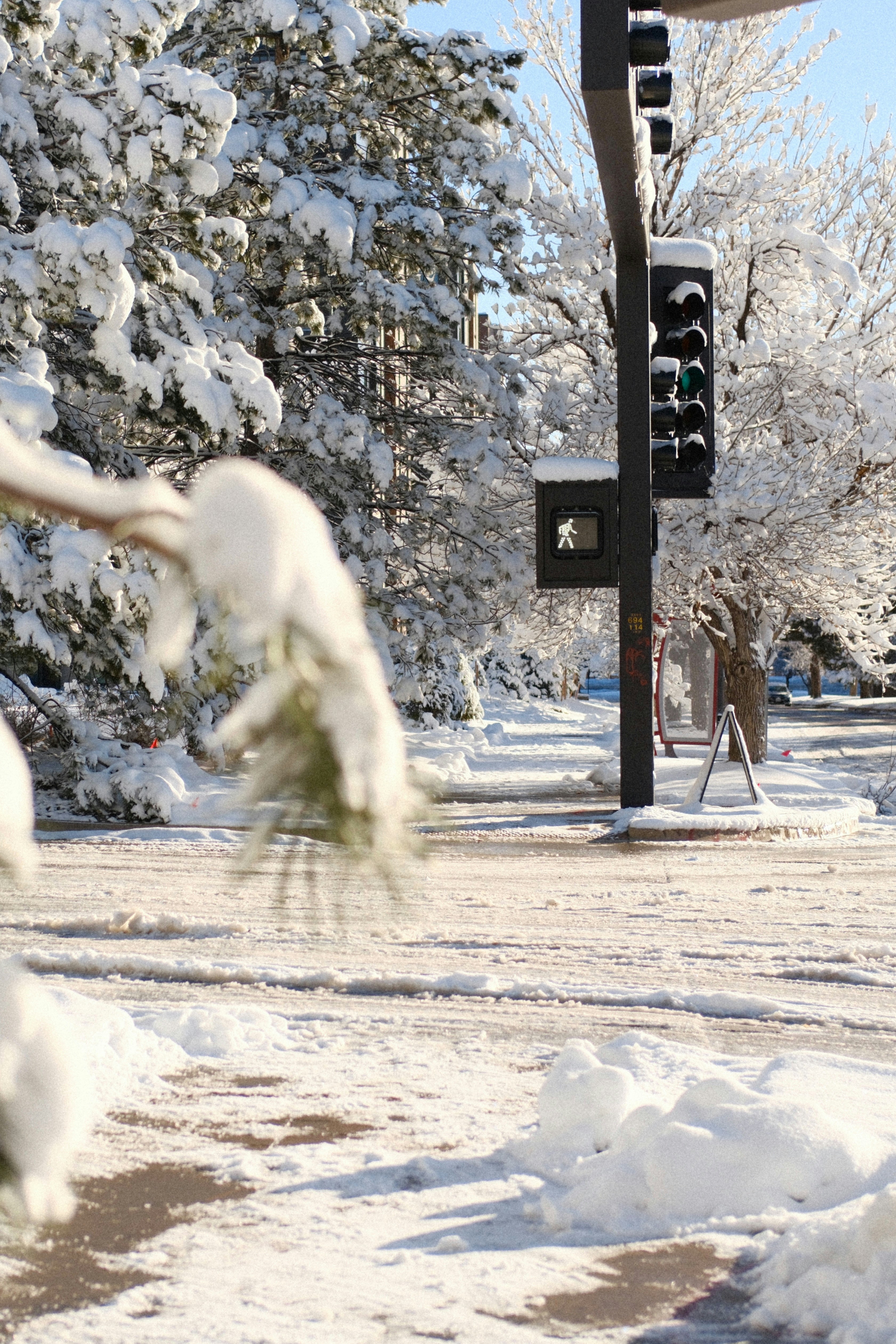 Winter Streetlight Pause Under Snow-Laden Trees