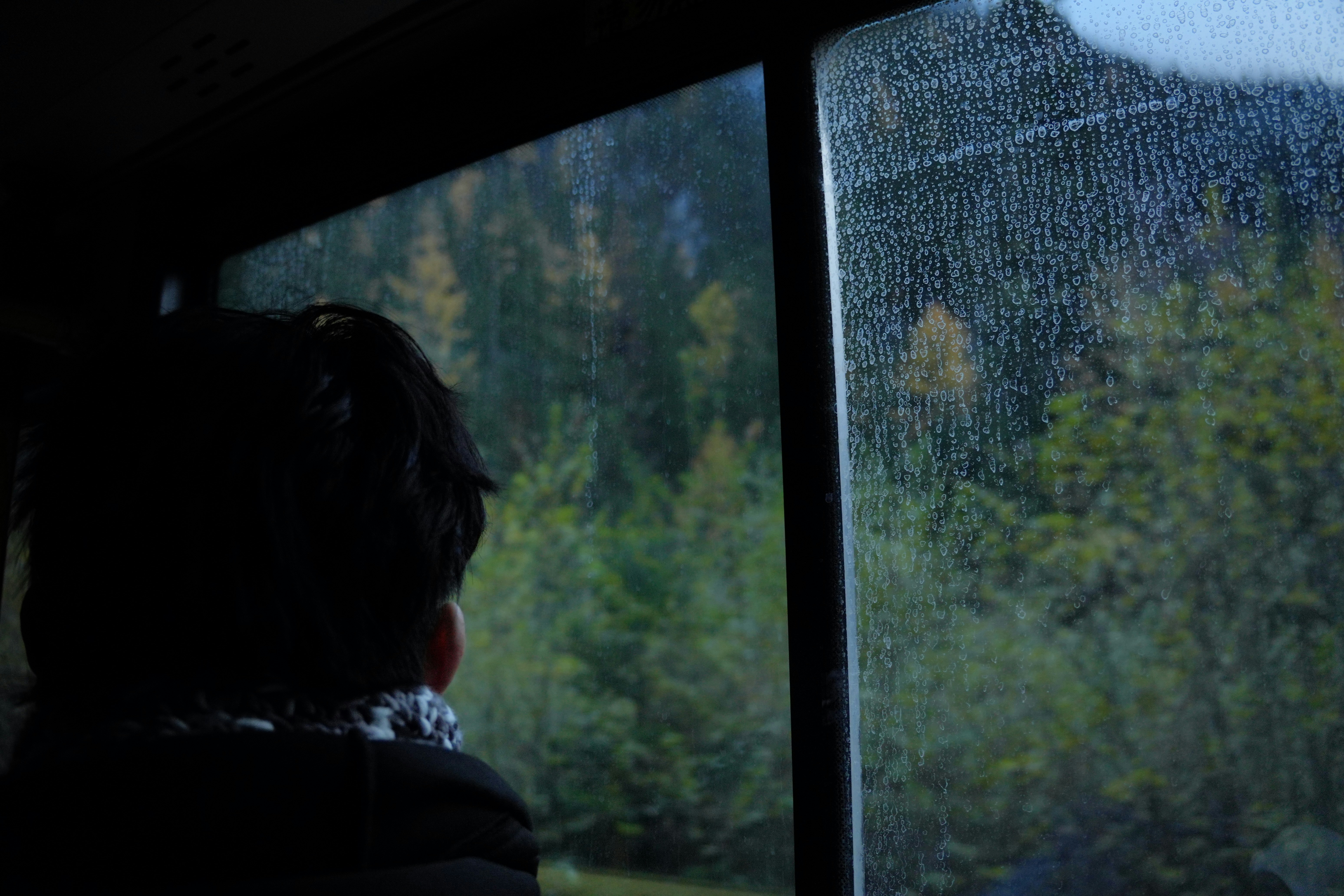 Bus Window Reverie: A Passenger Gazes into a Rain-tinged Landscape
