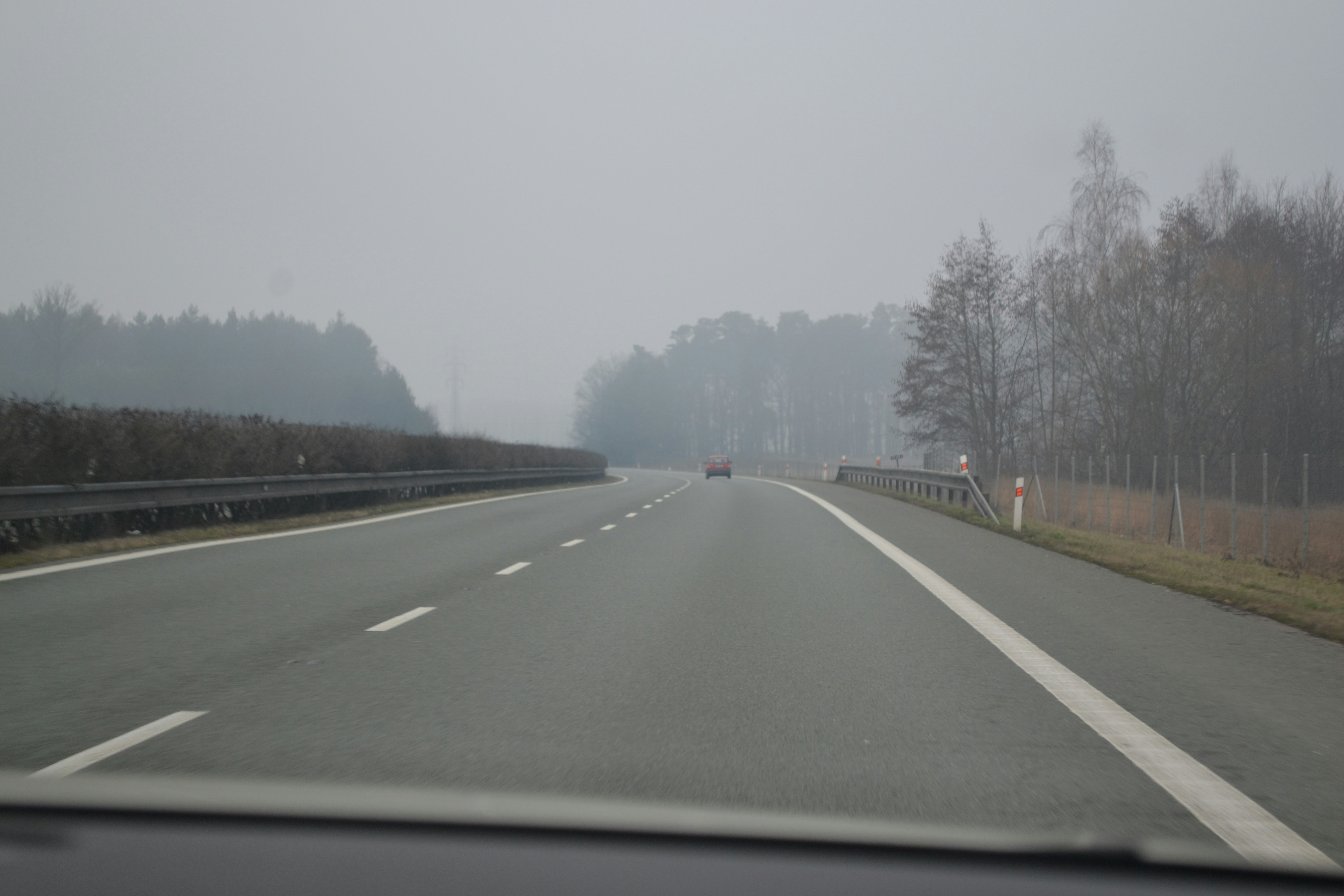 Low-Horizon Drive Through Misty Highway