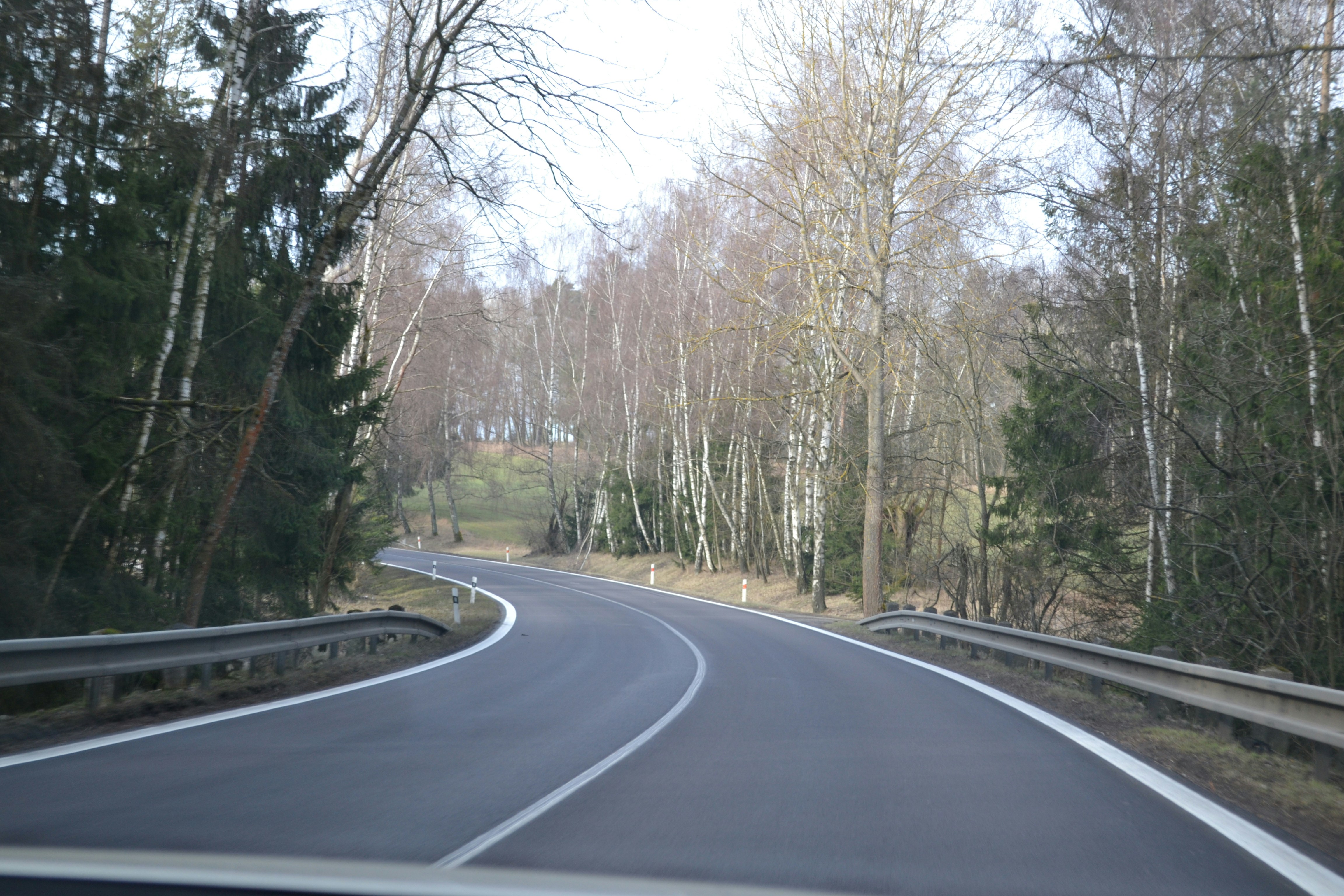 Winding Rural Road Curves into a Quiet Forest