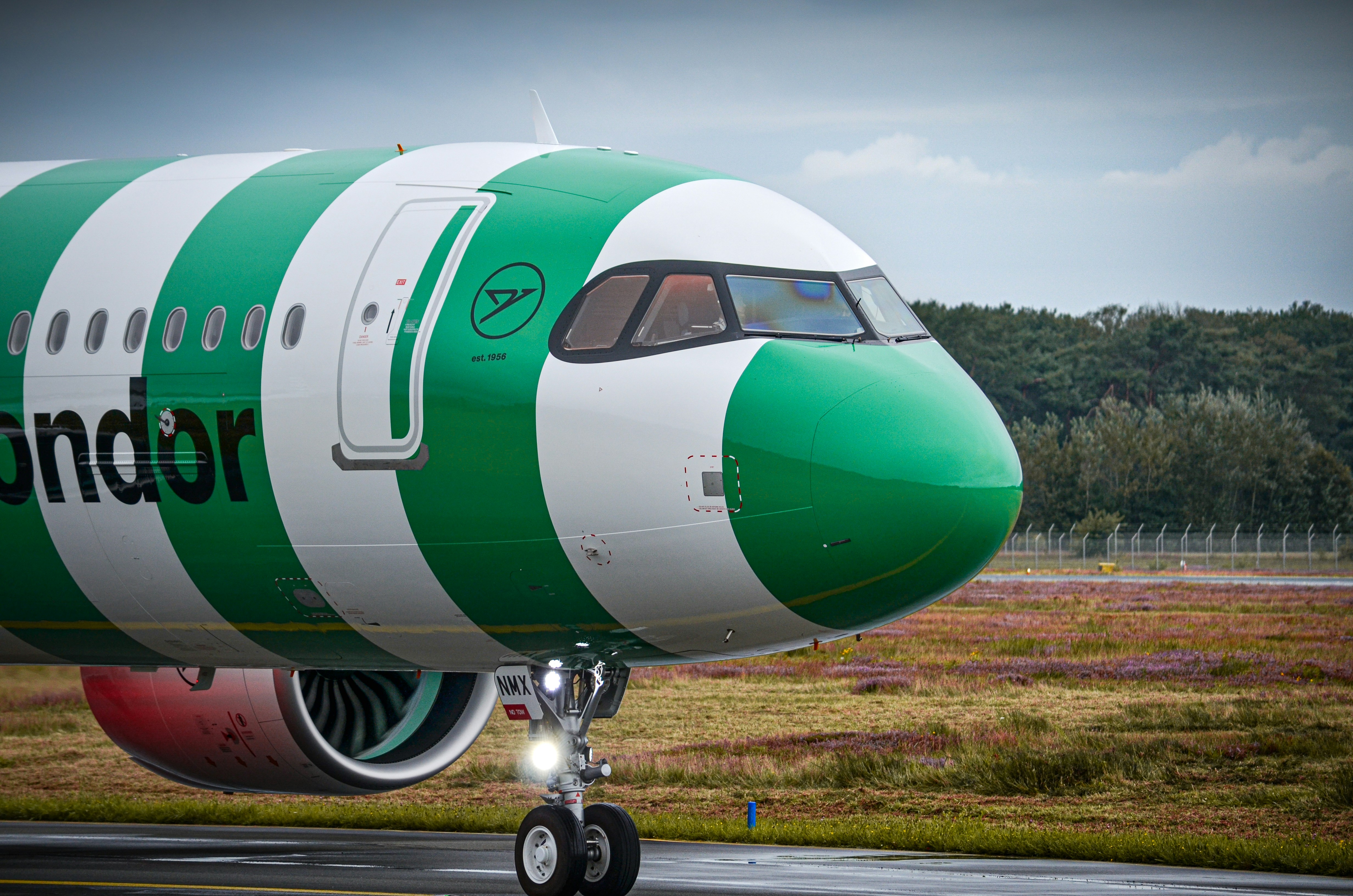 Green-and-White Striped Giant: Front-Fuselage of a Condorjet