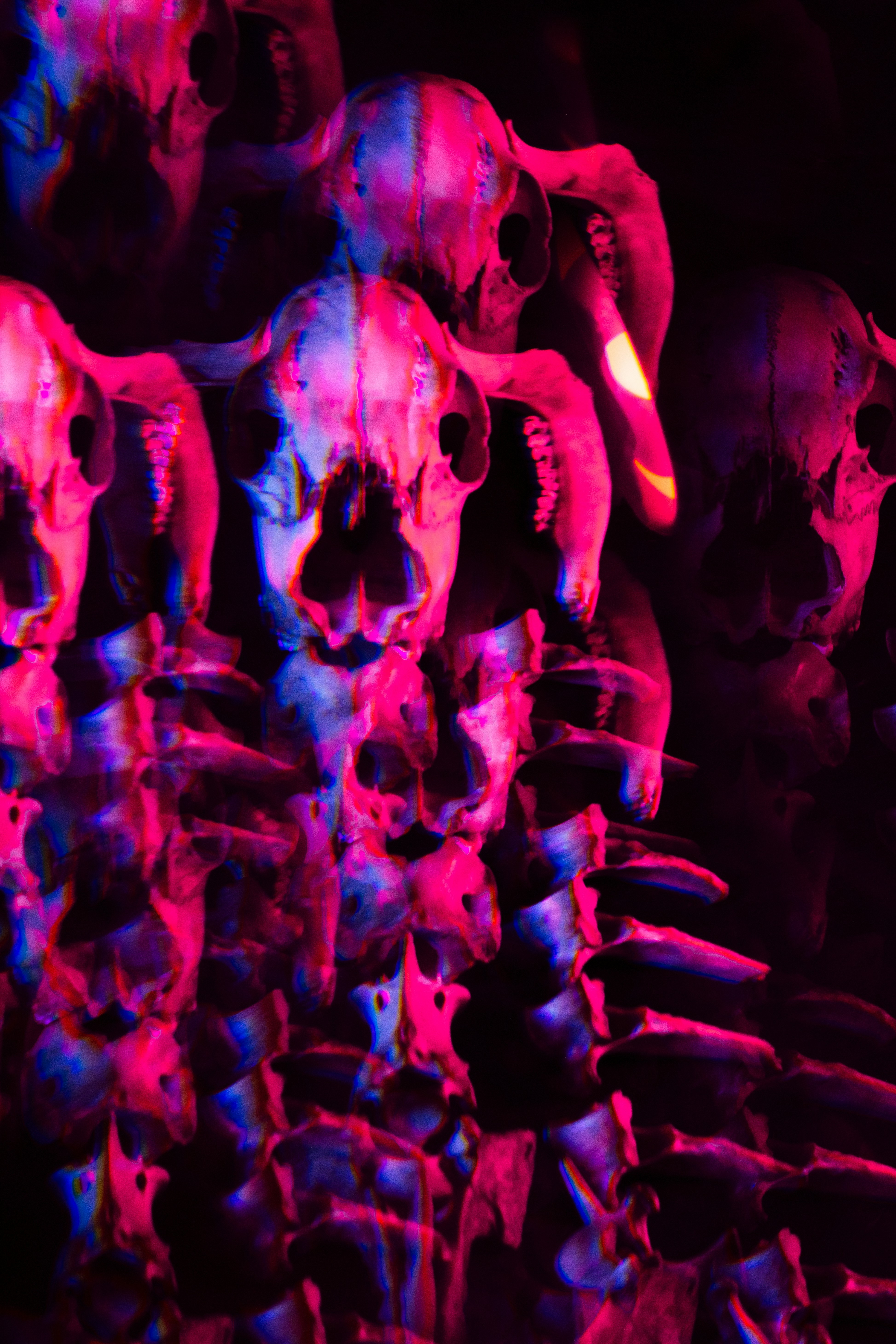 Neon Skull Choir in a Velvet Night