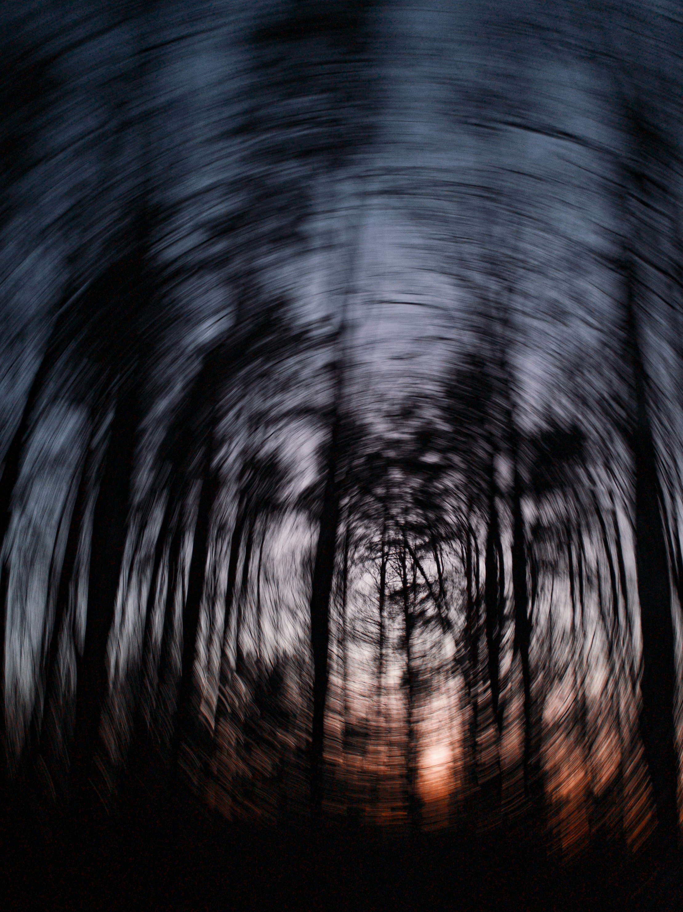Spiral Night: Trees Converge into a Twilight Funnel