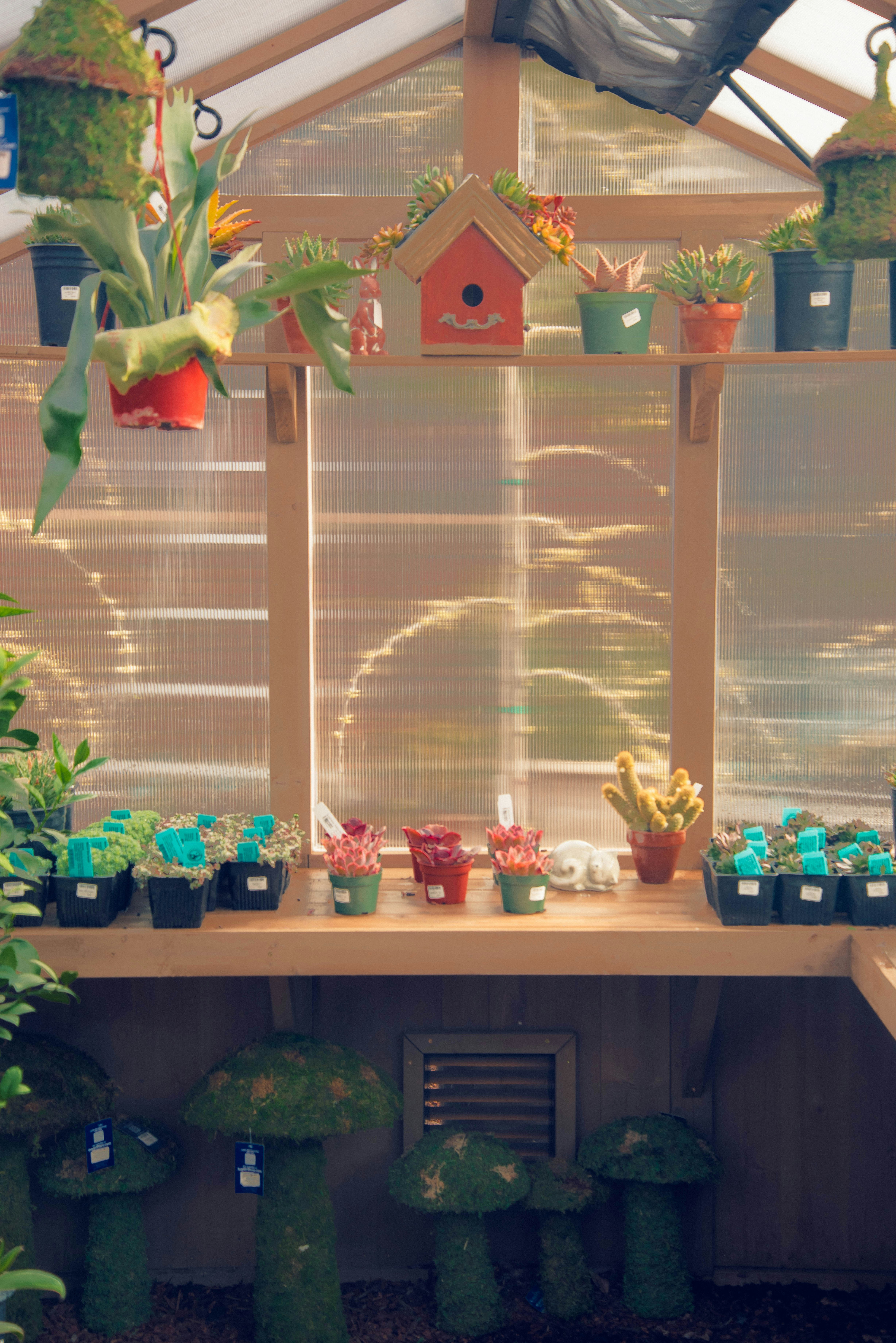 Hanging Gardens: A Nursery of Colorful Potted Delights