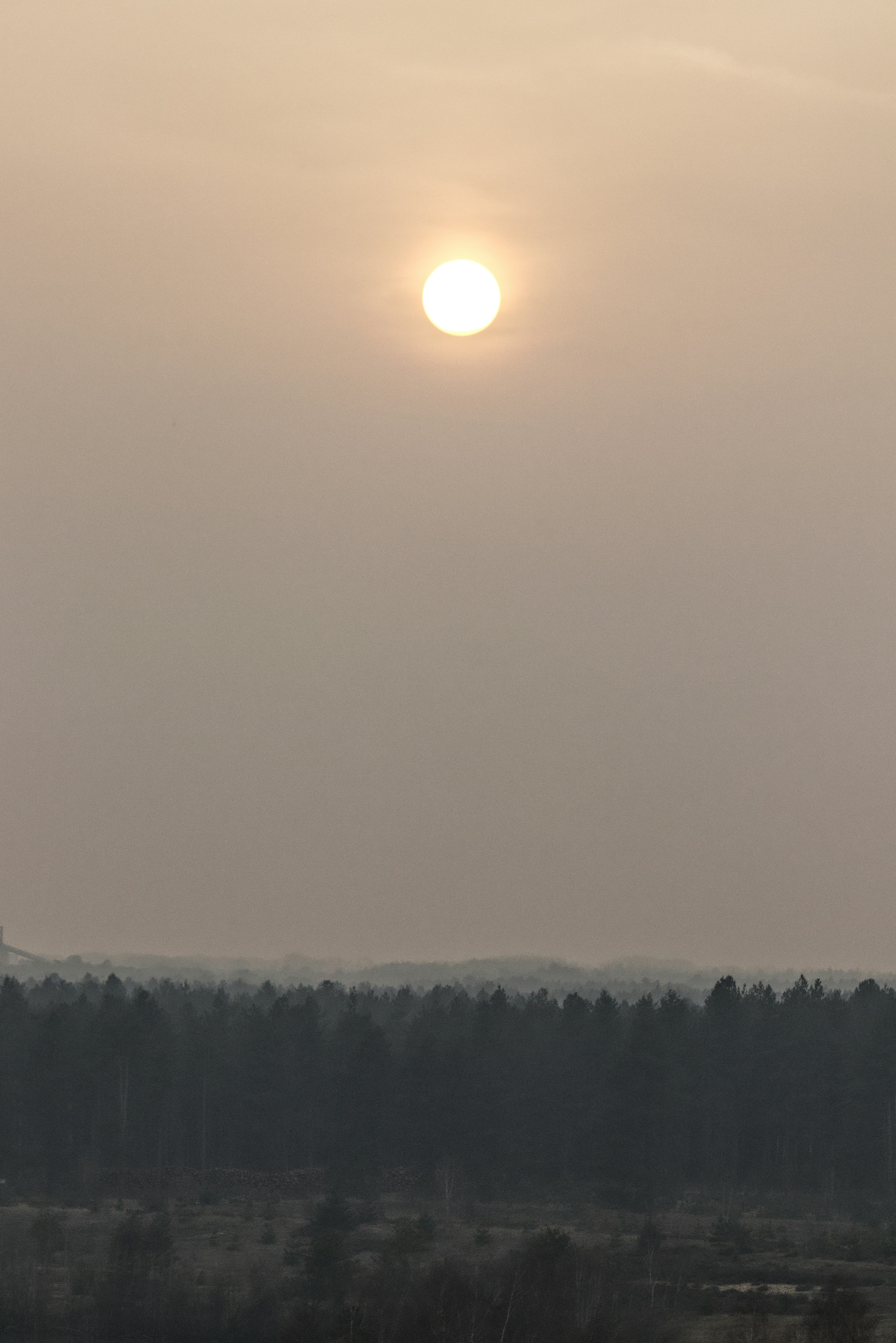 Hazy Sunrise Over Misty Pines