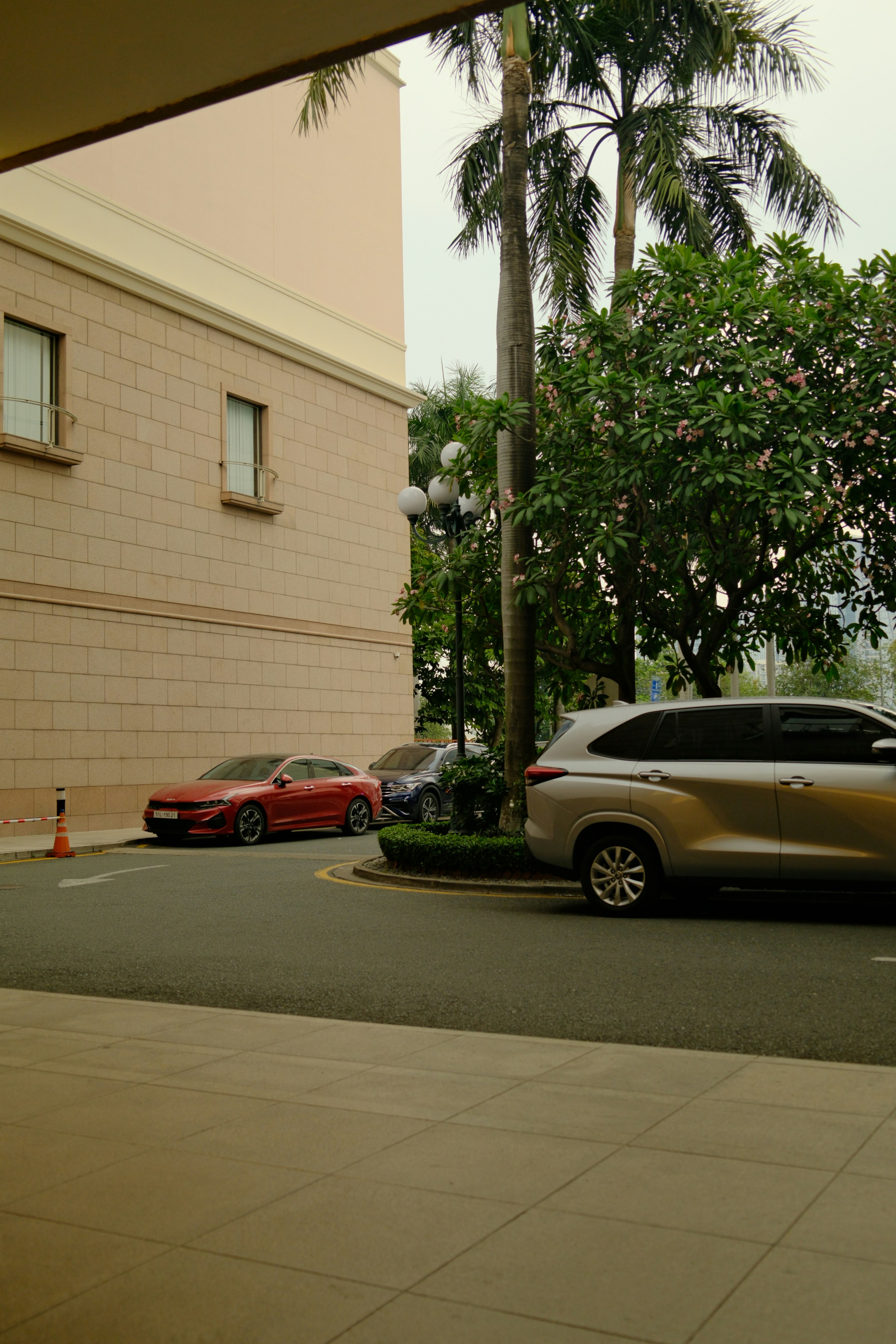 Urban Quiet: Palm Trees Framing a Parking Lot Scene
