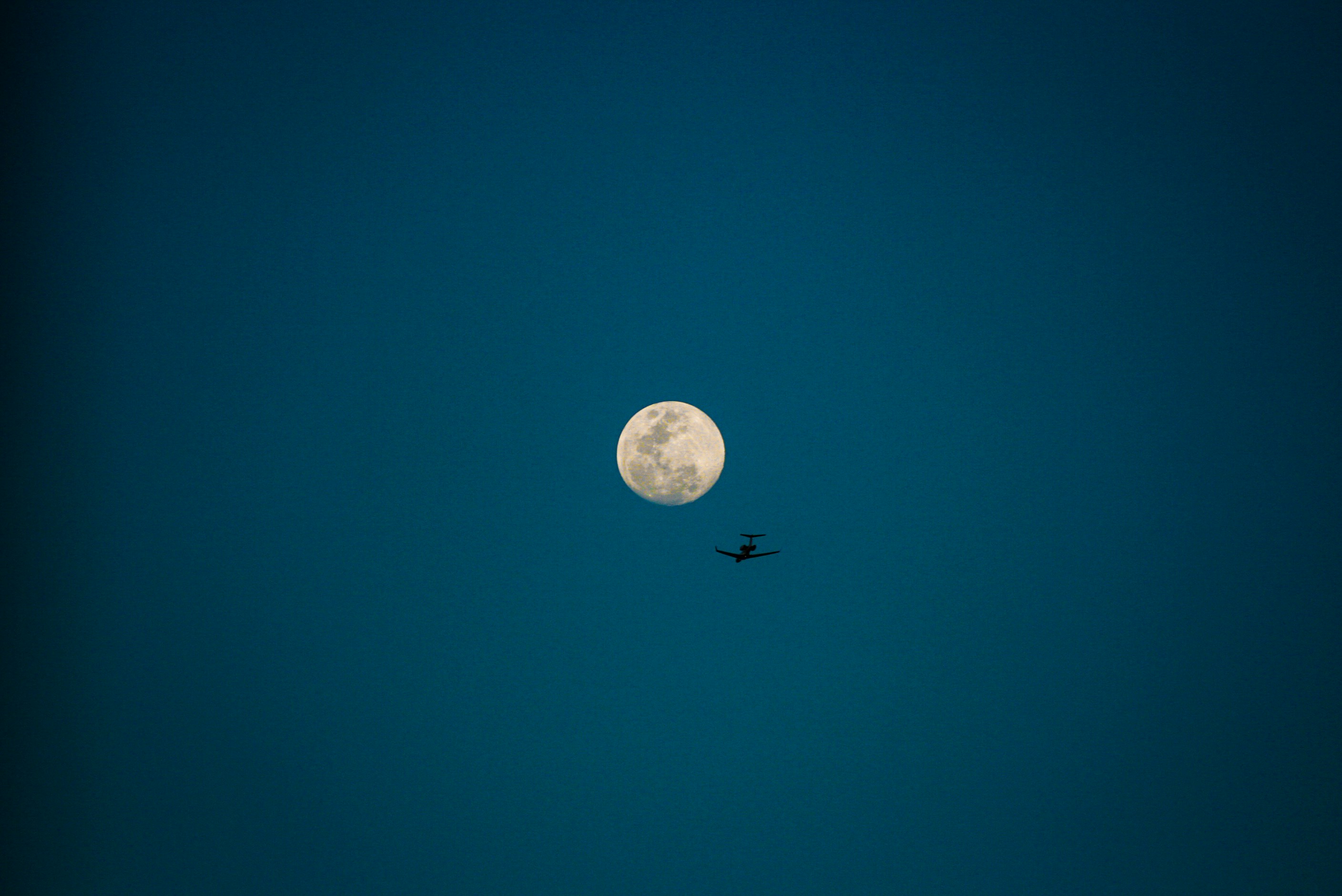Moonlit Flight: A Moonlit Duo Soars Across an Expansive Night Sky