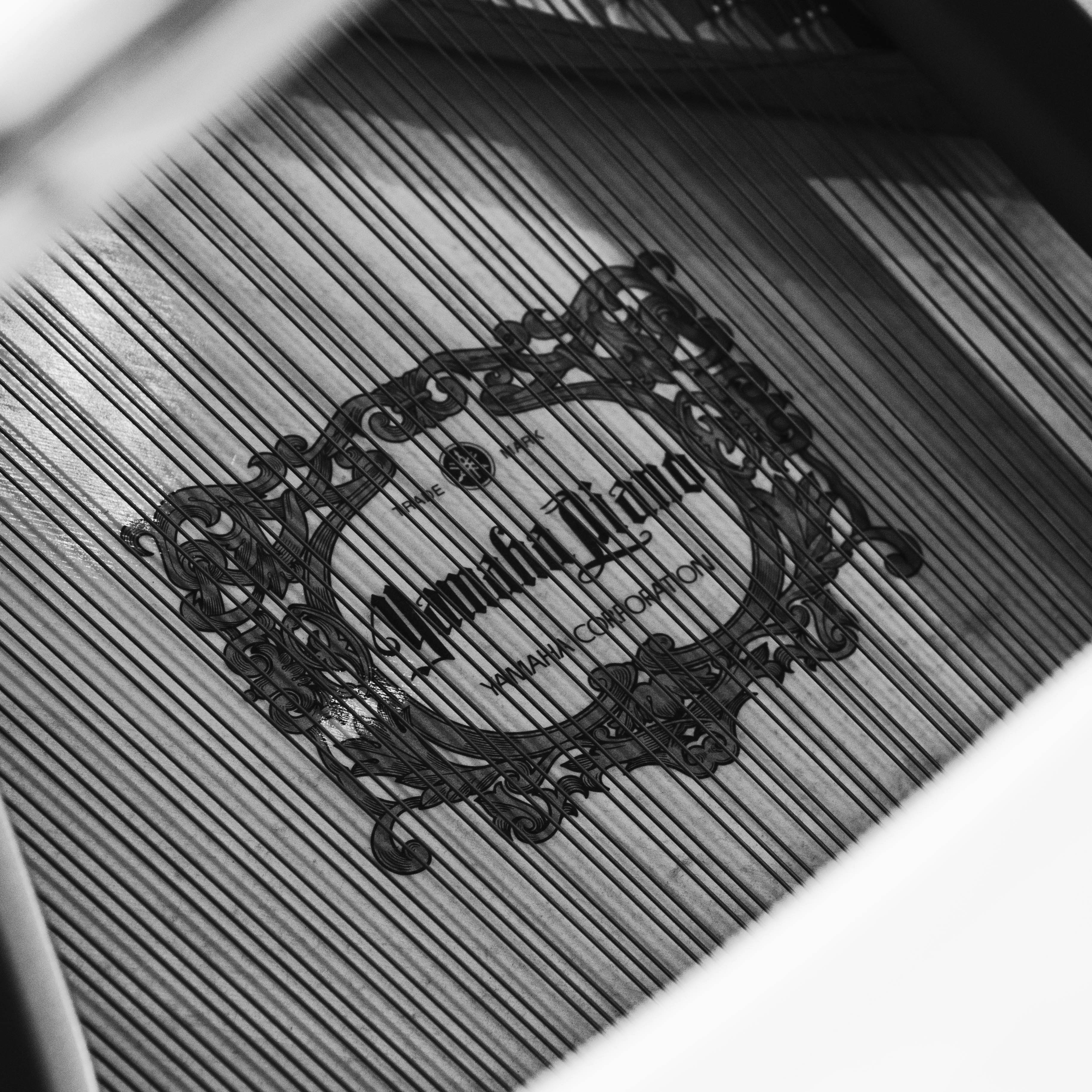 Intricate Wireframe Logo Encased in Vertical Strings