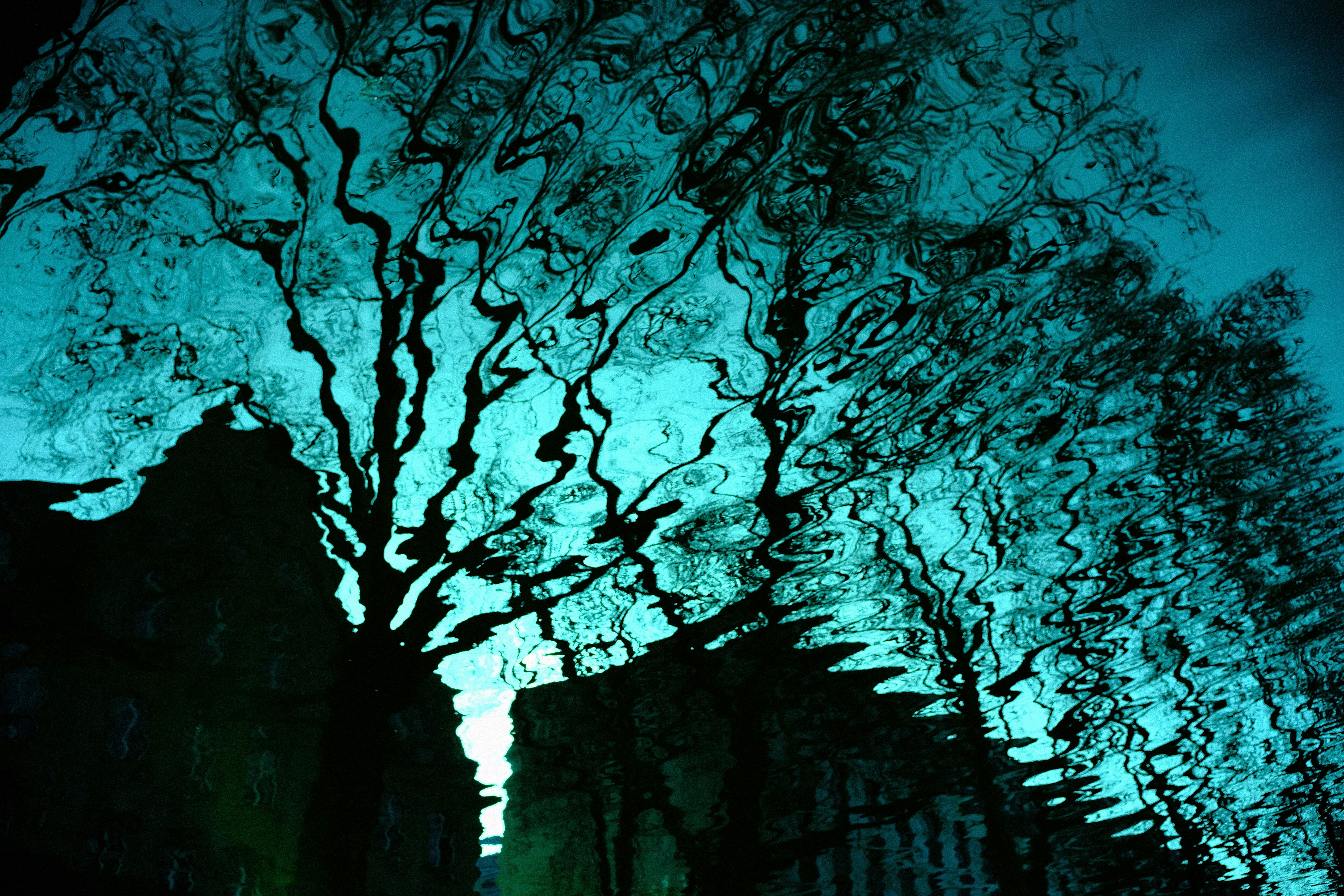 Echoes of Aquatic Ink: Fractured Reefs Under Cyan Light