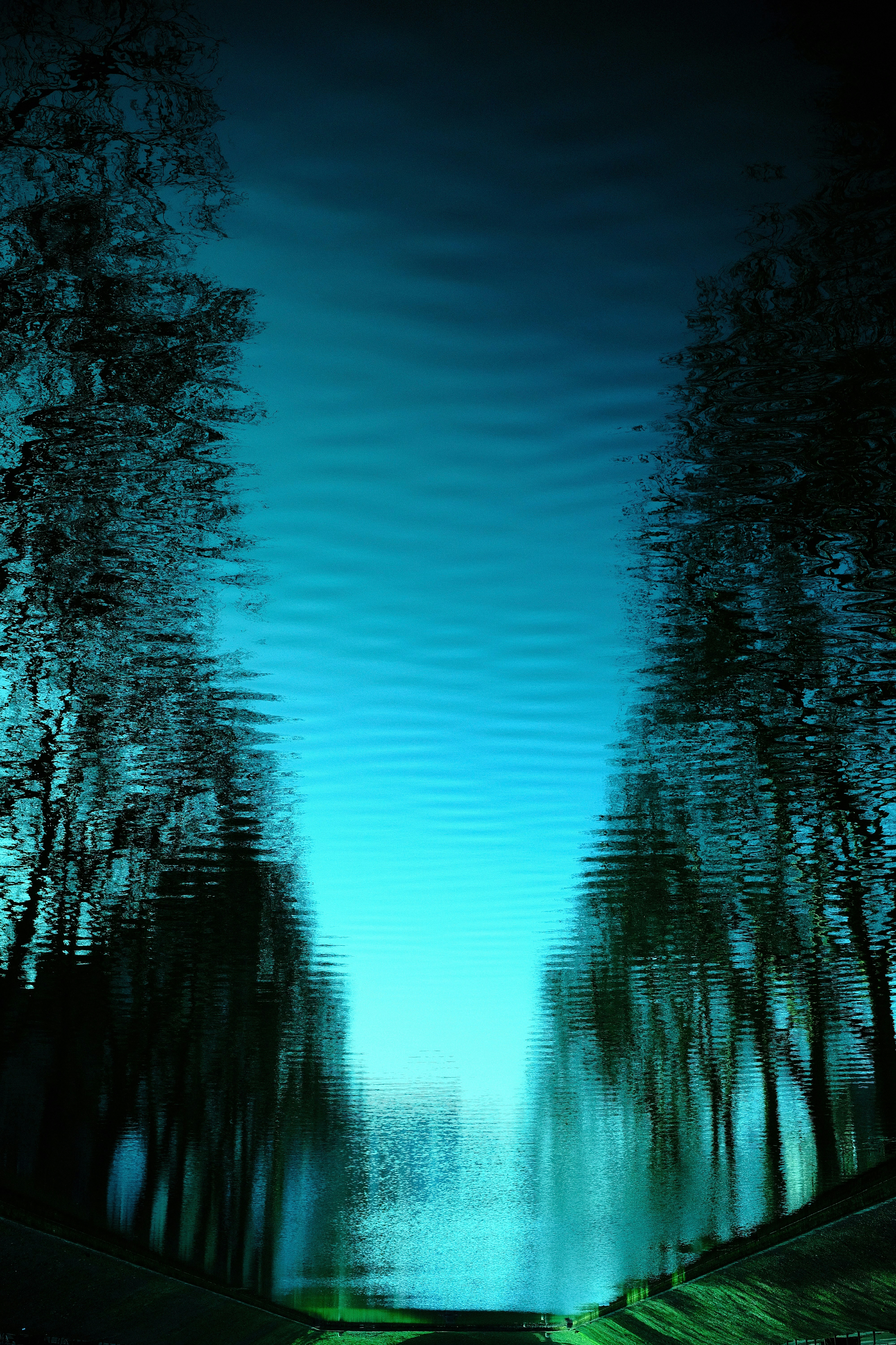 Vertical Reflections: A Cyan Tunnel of Trees