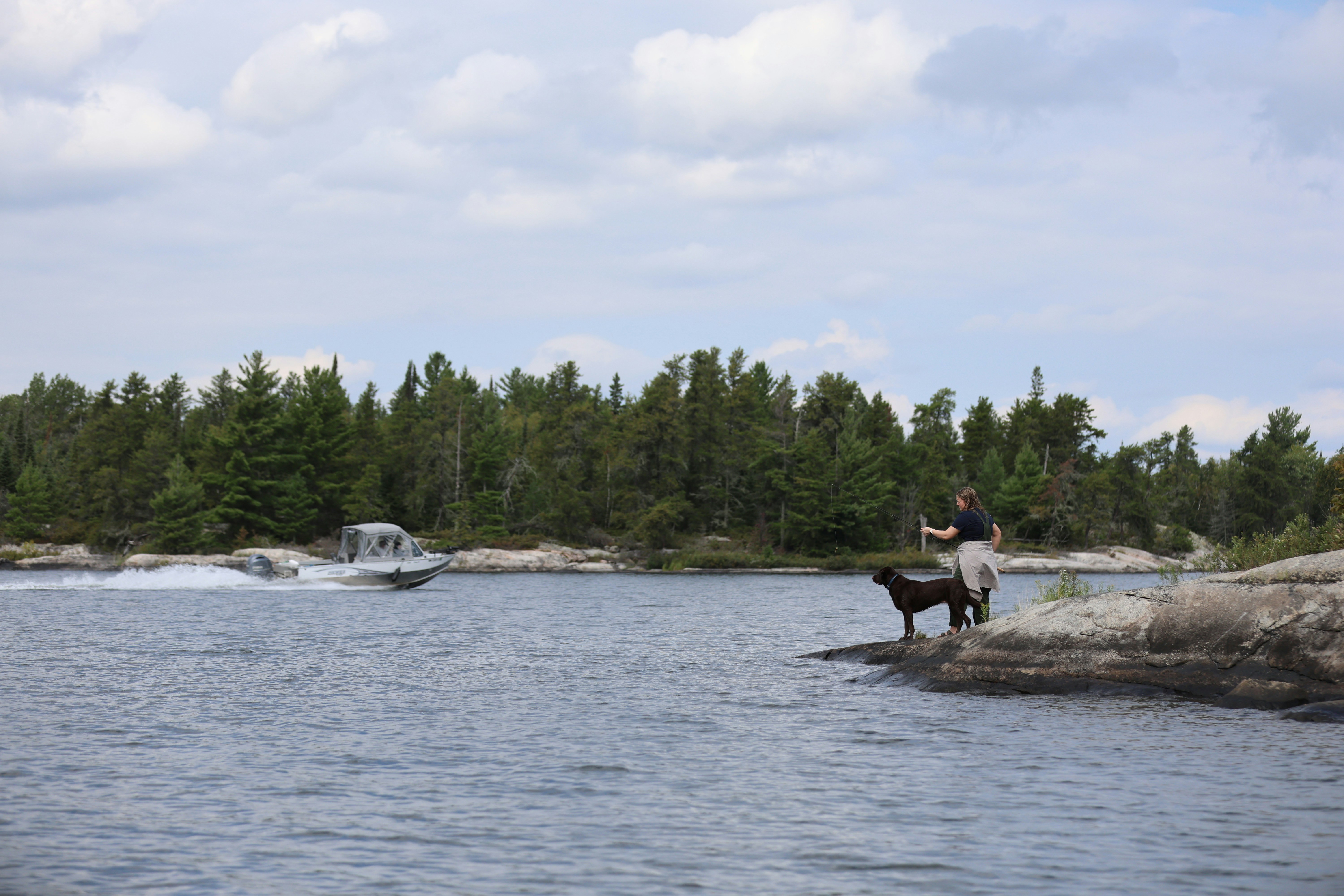 On the Edge: A Man and Dog Poised by the Shore
