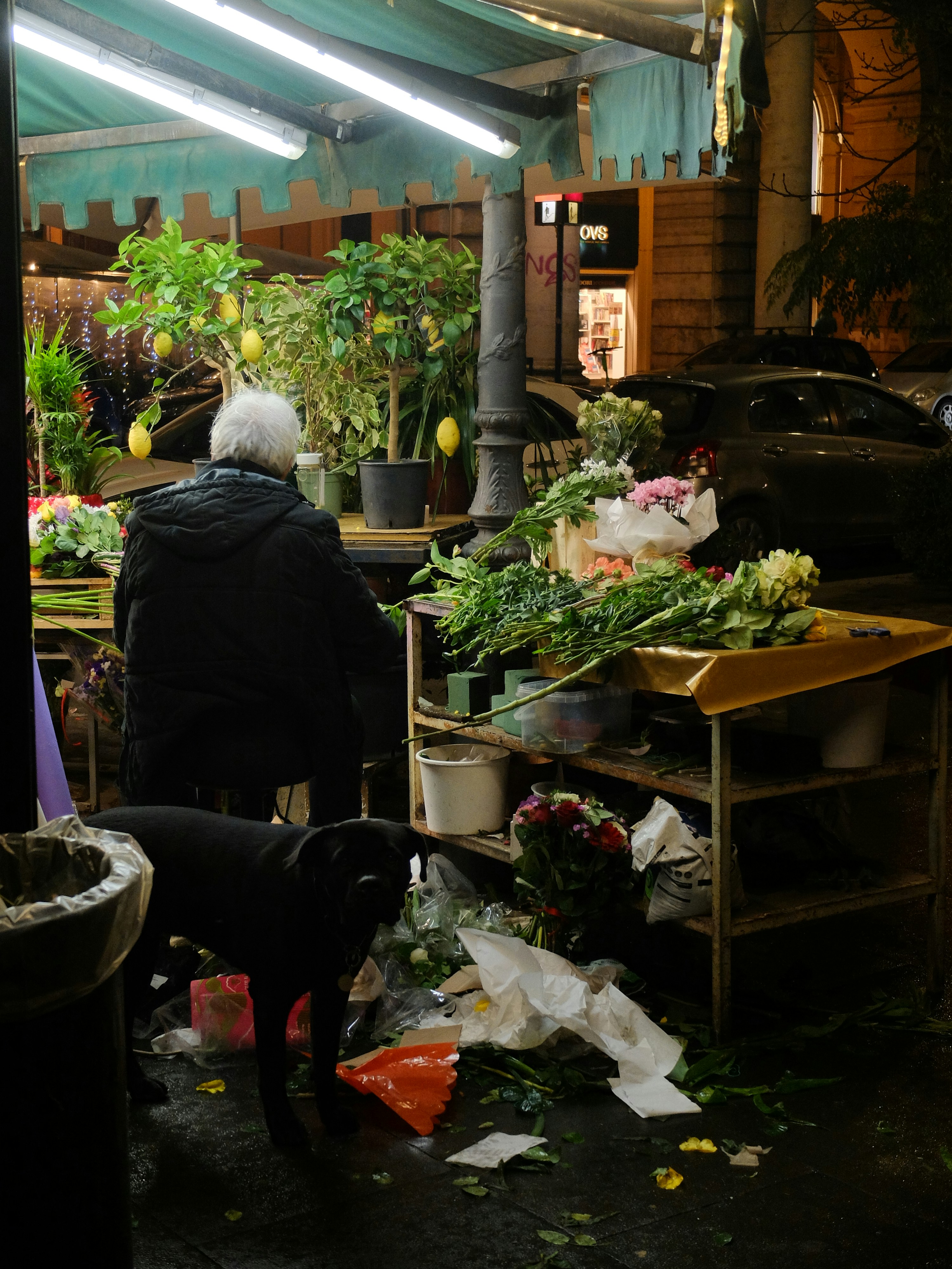 Night Market Florist: A Lonley Customer at the Stall