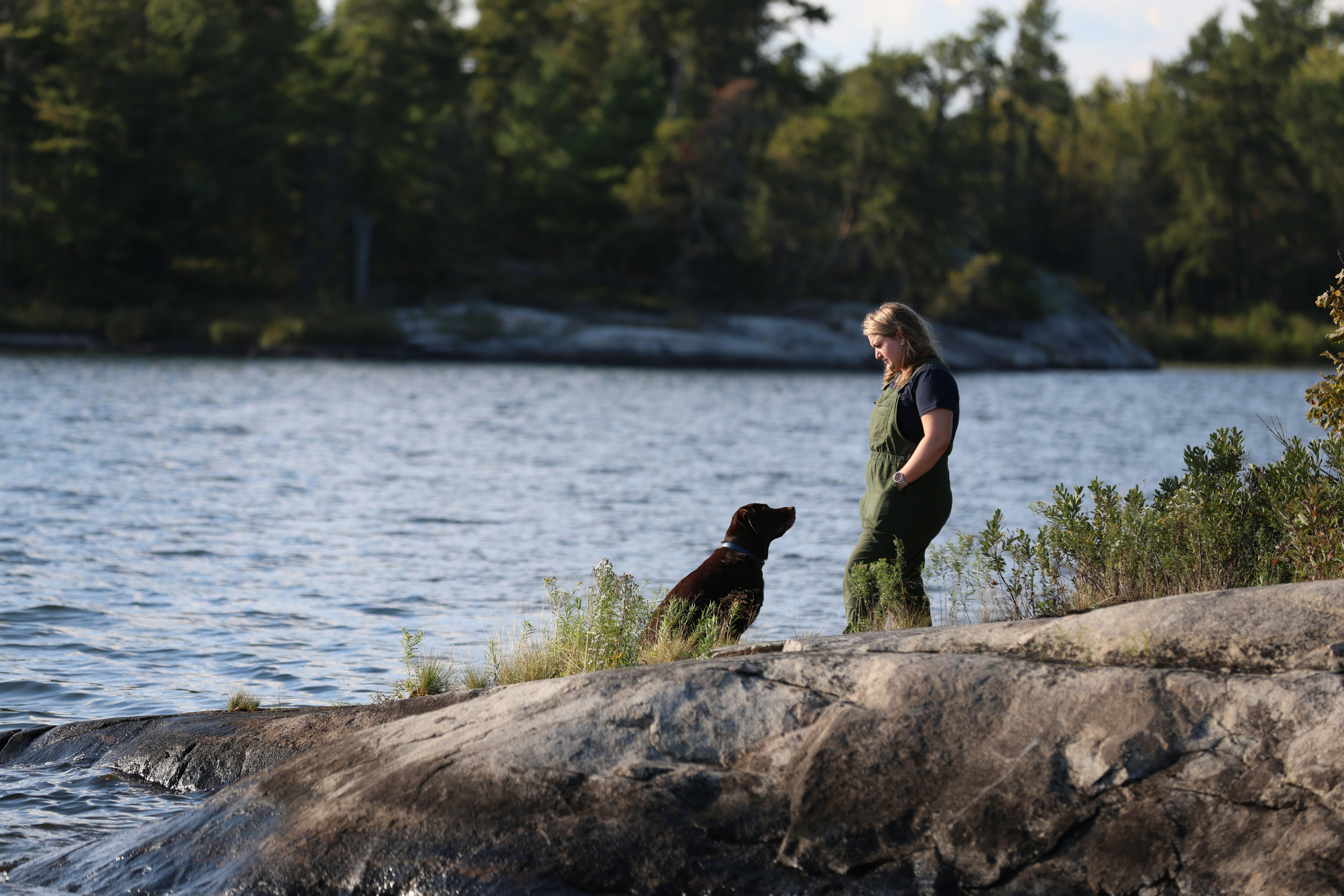 Man and dog on a rocky shoreline under forested overlook