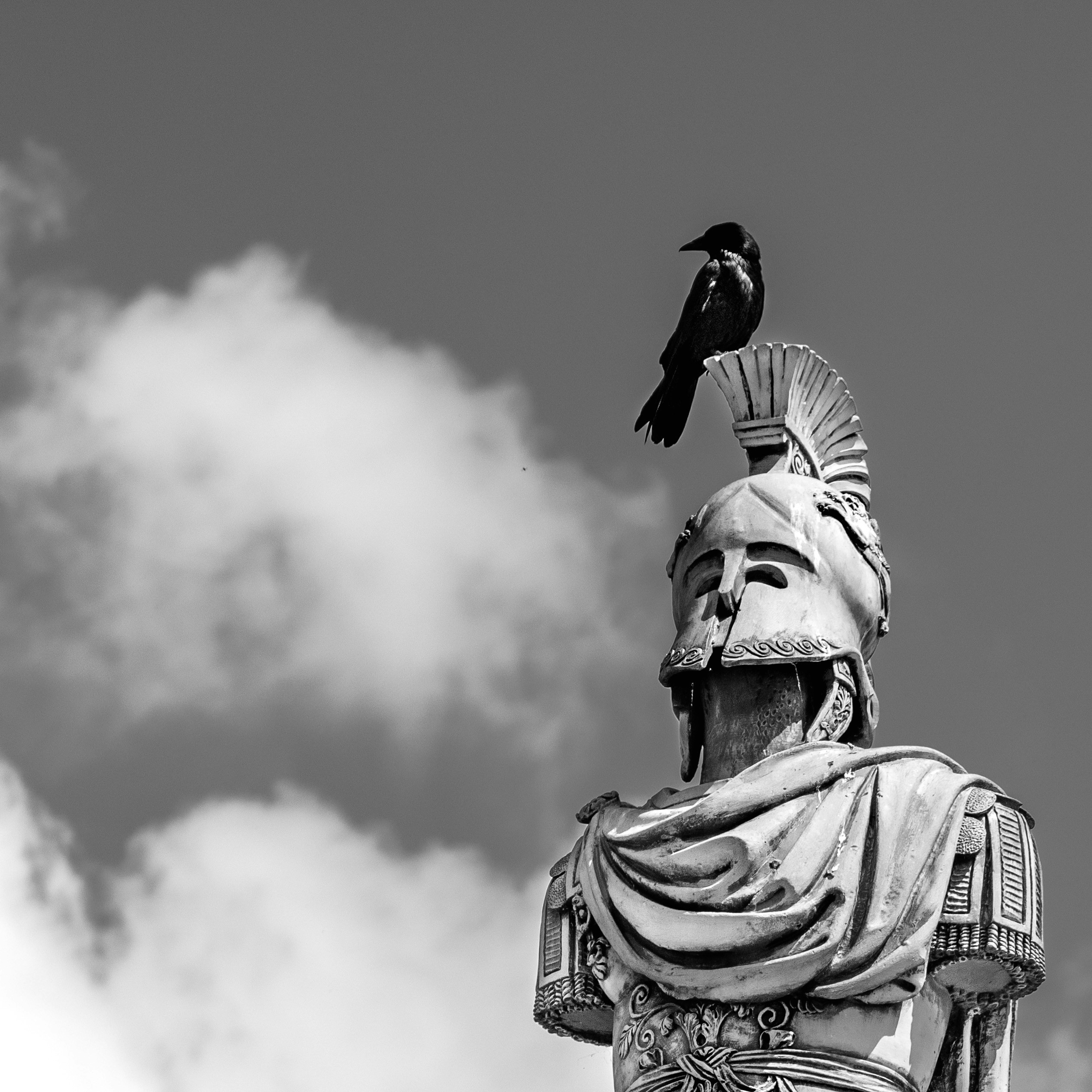 Raven perched on a ceremonial helm