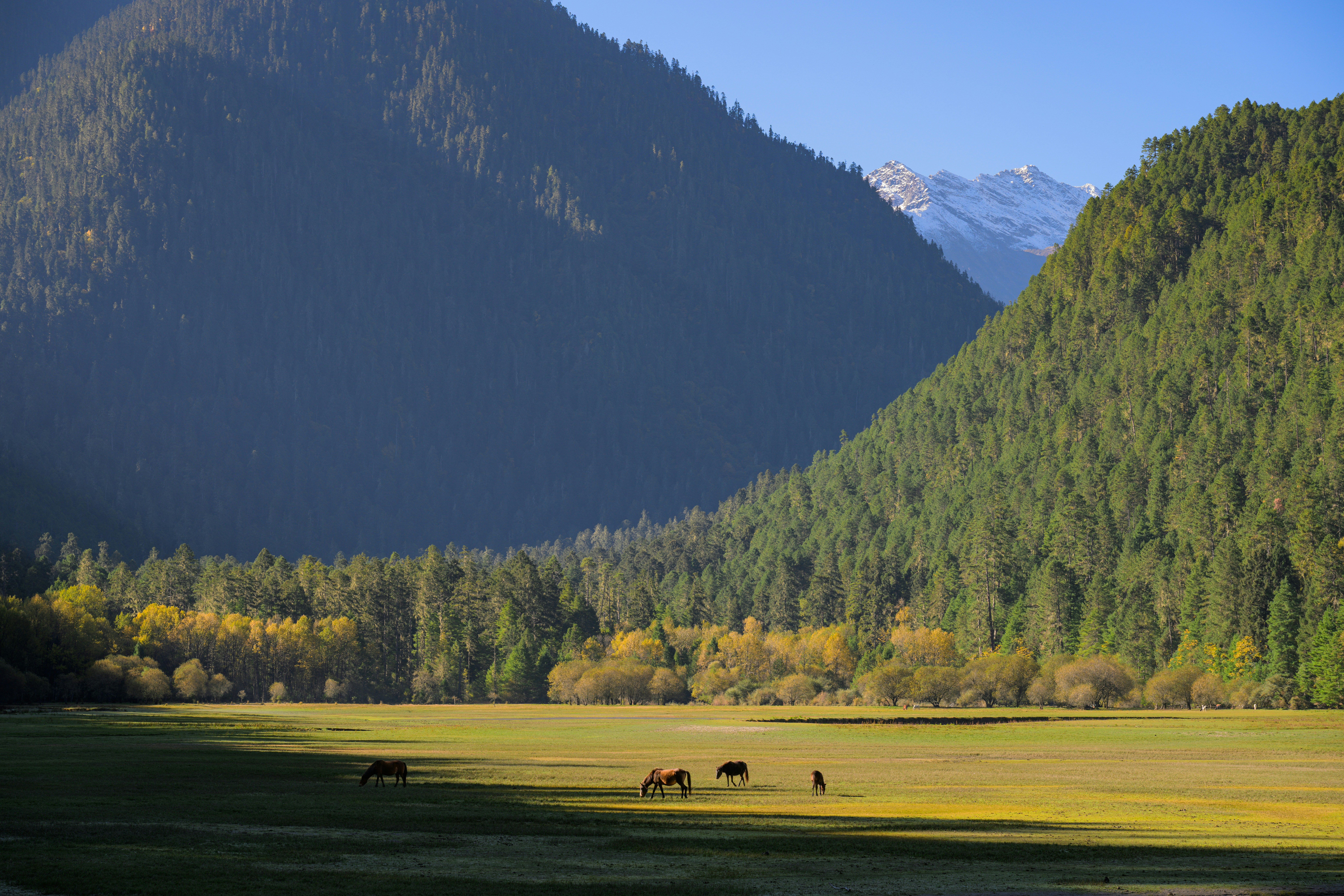Quiet Valley Under A Majestic Mountain Range